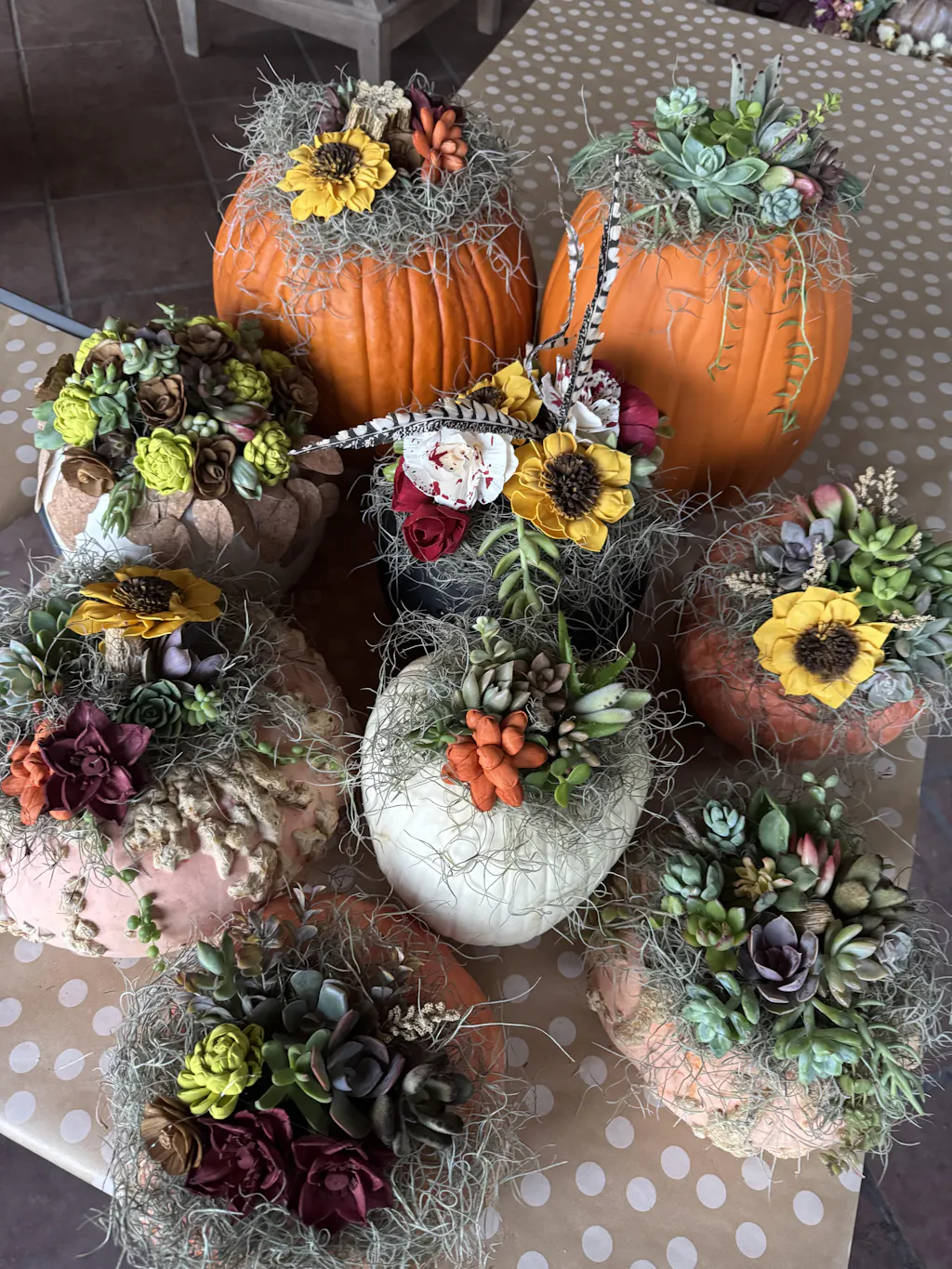 DIY Pumpkin Succulent Kit Fall Decor Halloween Decor