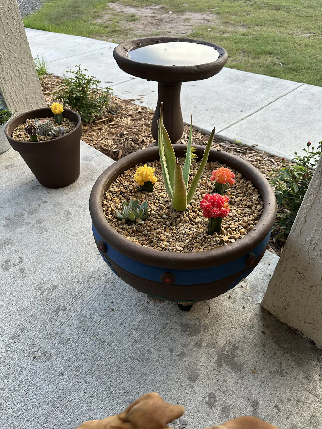 10 Creative Succulent Garden Ideas The Succulent Source