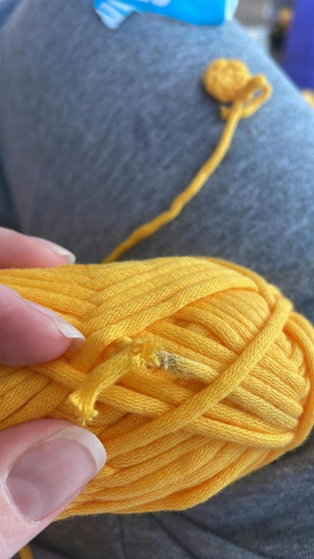 Chick Beginner Crochet Kit | Learn to Crochet with The Woobles