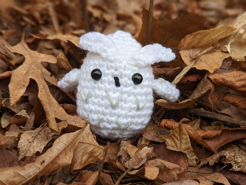 Owl Crochet Kit | Learn to Crochet with The Woobles