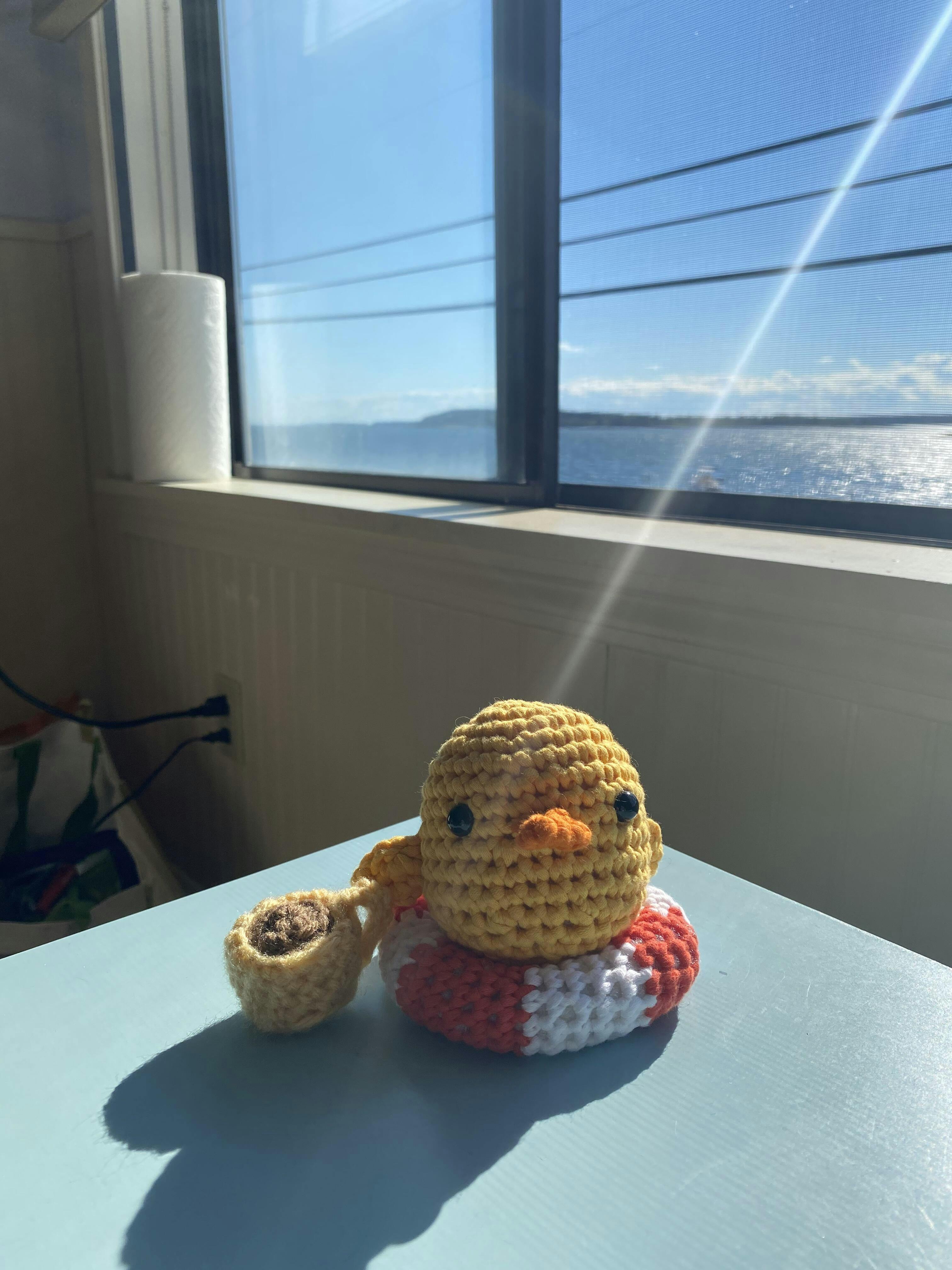 Chick Crochet Kit for Beginners | The Woobles