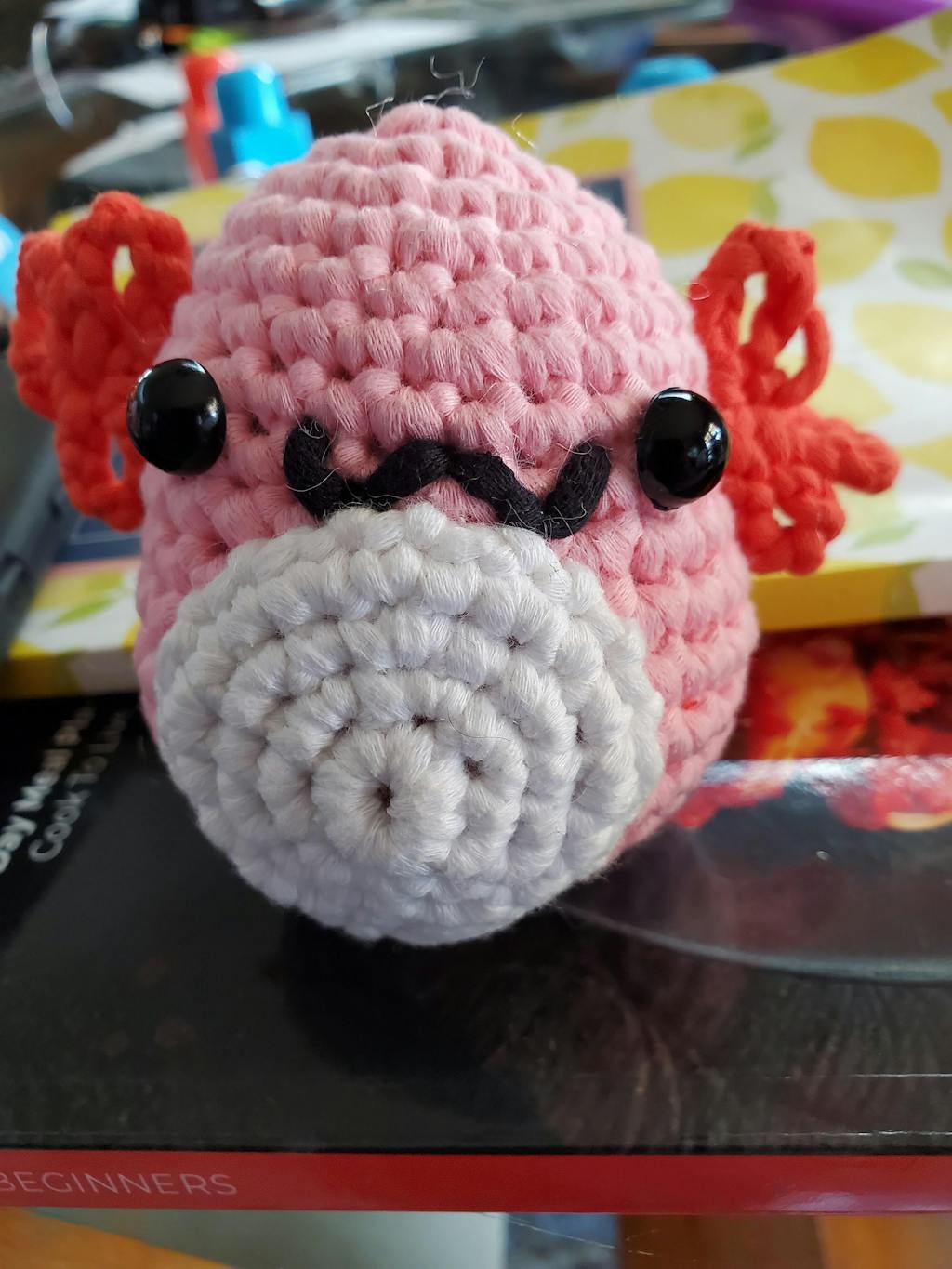 Limited Edition Axolotl Crochet Kit | The Woobles