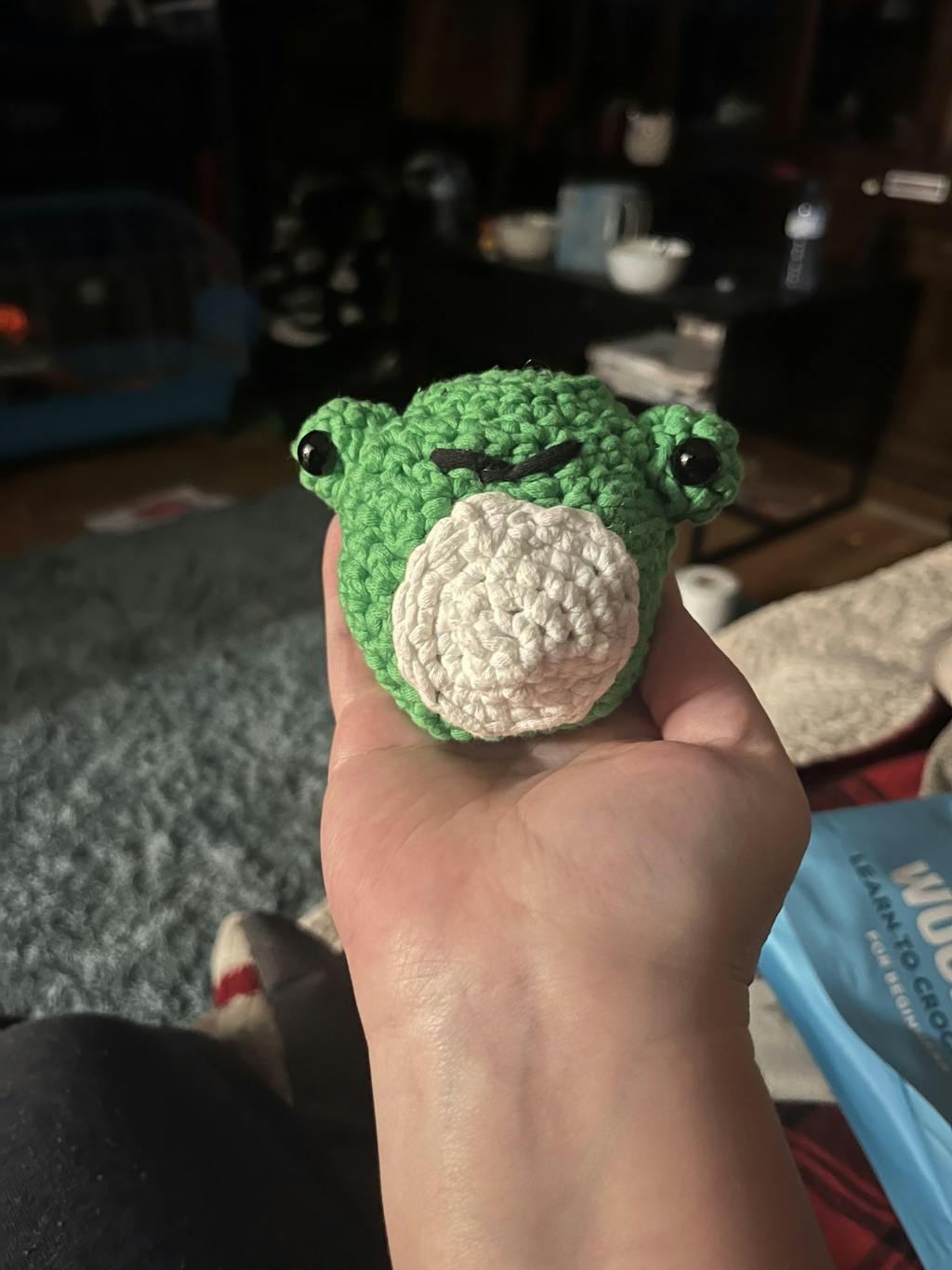 Frog Crochet Kit | Learn to Crochet with The Woobles