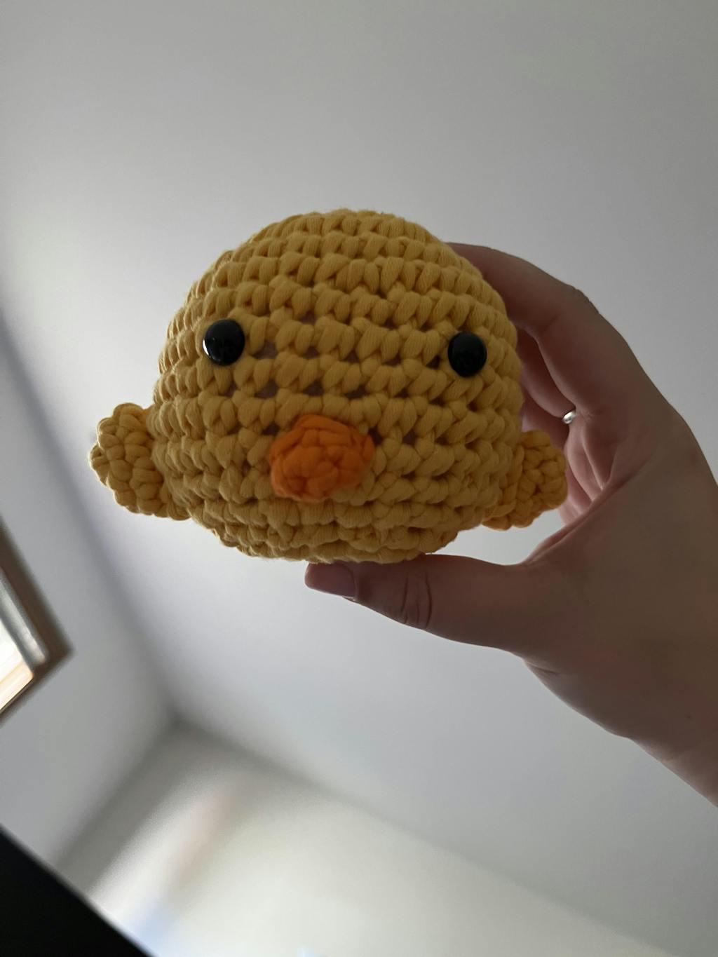 Chick Crochet Kit for Beginners | The Woobles