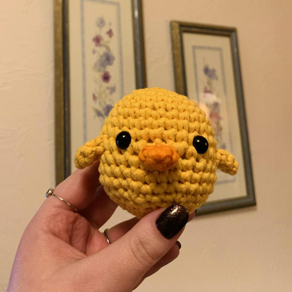 Chick Crochet Kit for Beginners | The Woobles
