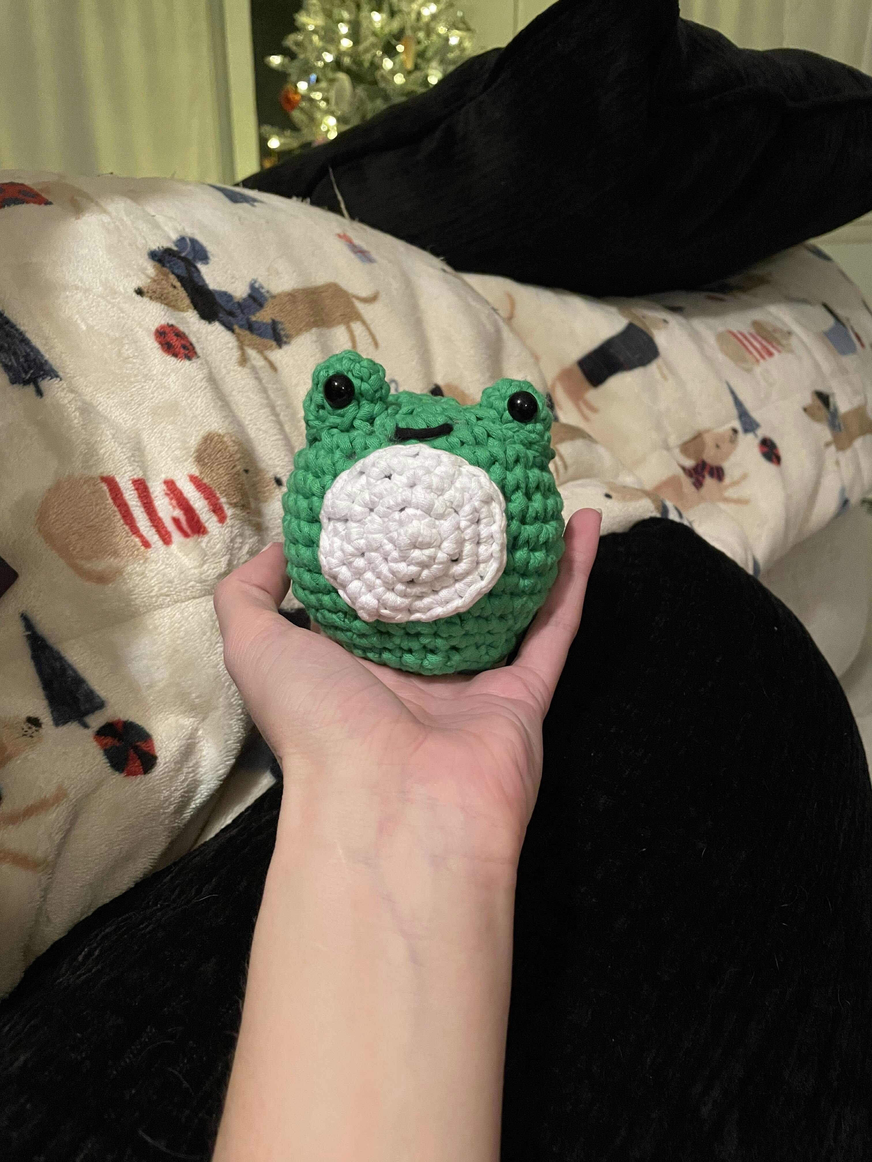 Frog Crochet Kit | Learn to Crochet with The Woobles