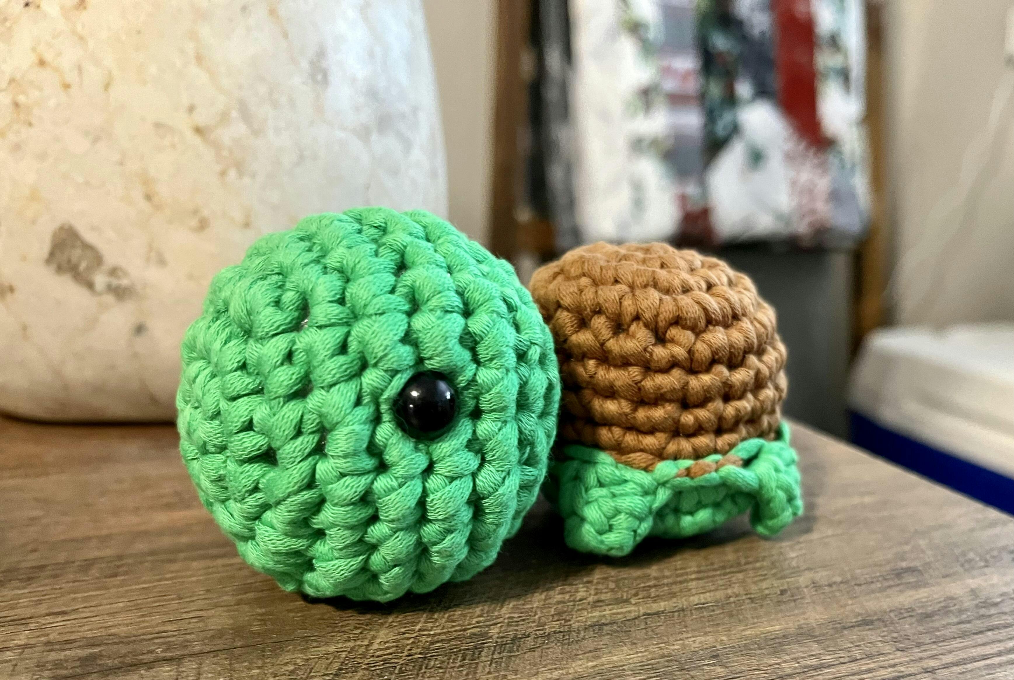 Turtle Crochet Kit | The Woobles