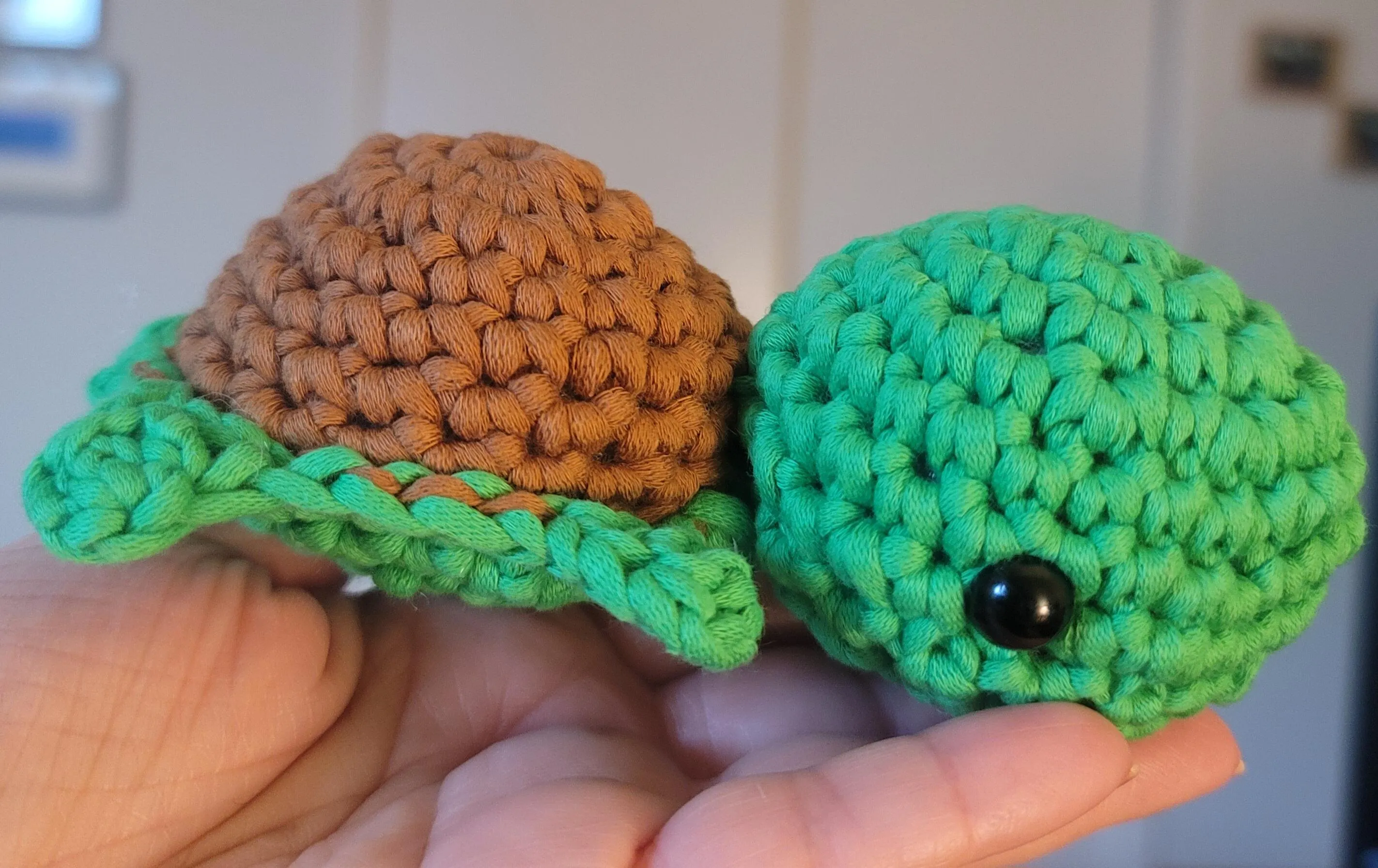 Turtle Crochet Kit | The Woobles