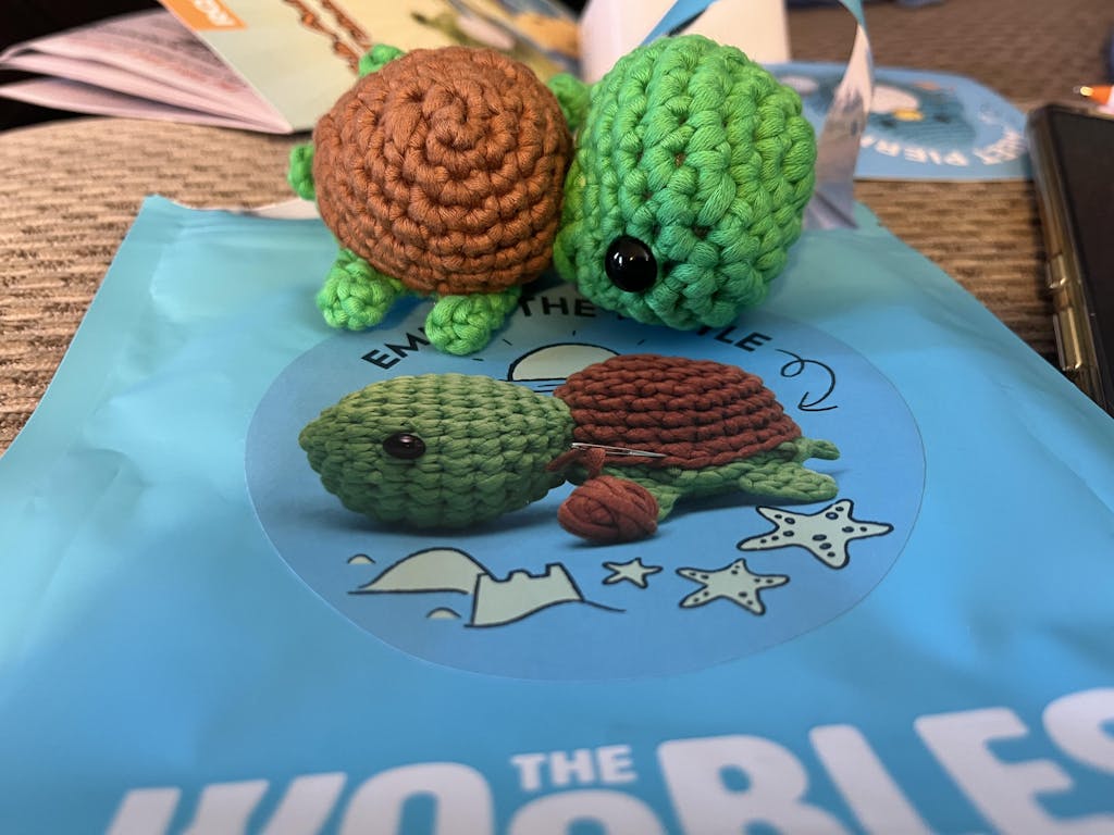 Turtle Crochet Kit | The Woobles