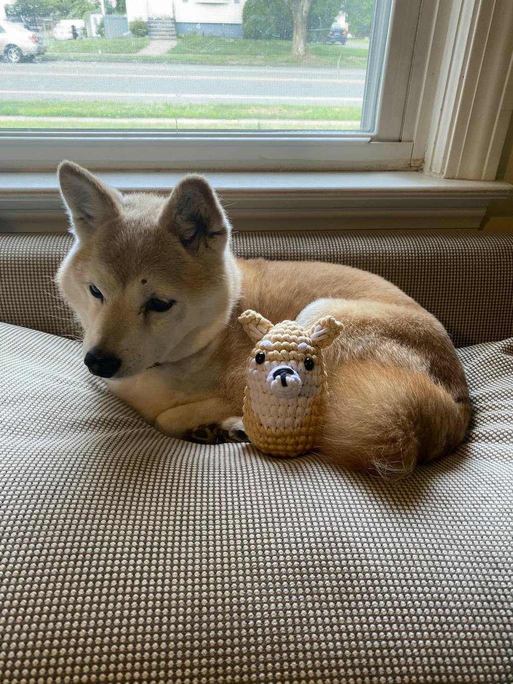 Shiba Inu Crochet Kit | The Woobles