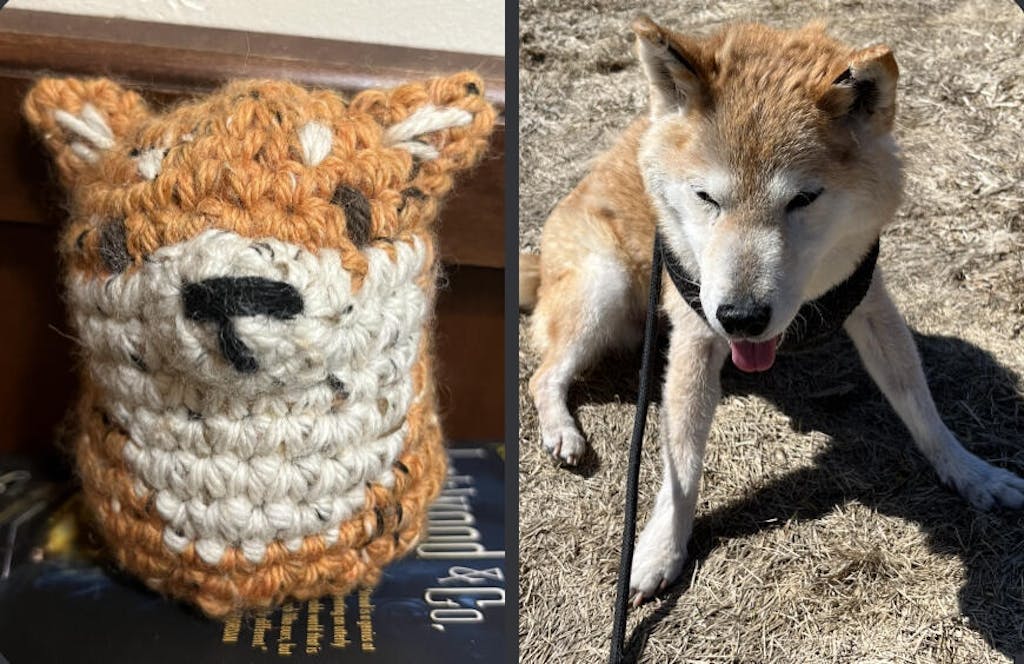 Shiba Inu Crochet Kit | The Woobles