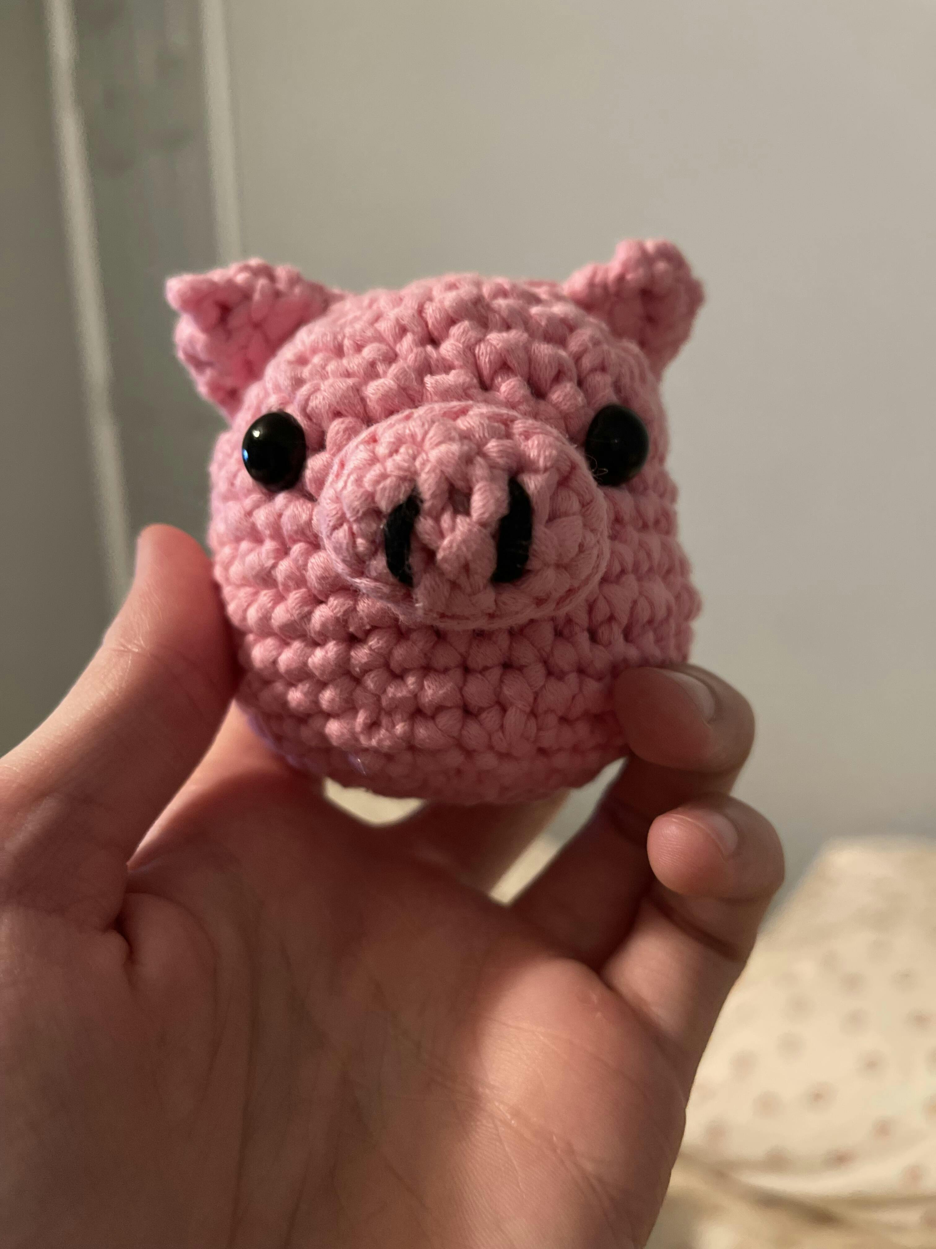 Pig Crochet Kit for Beginners | The Woobles