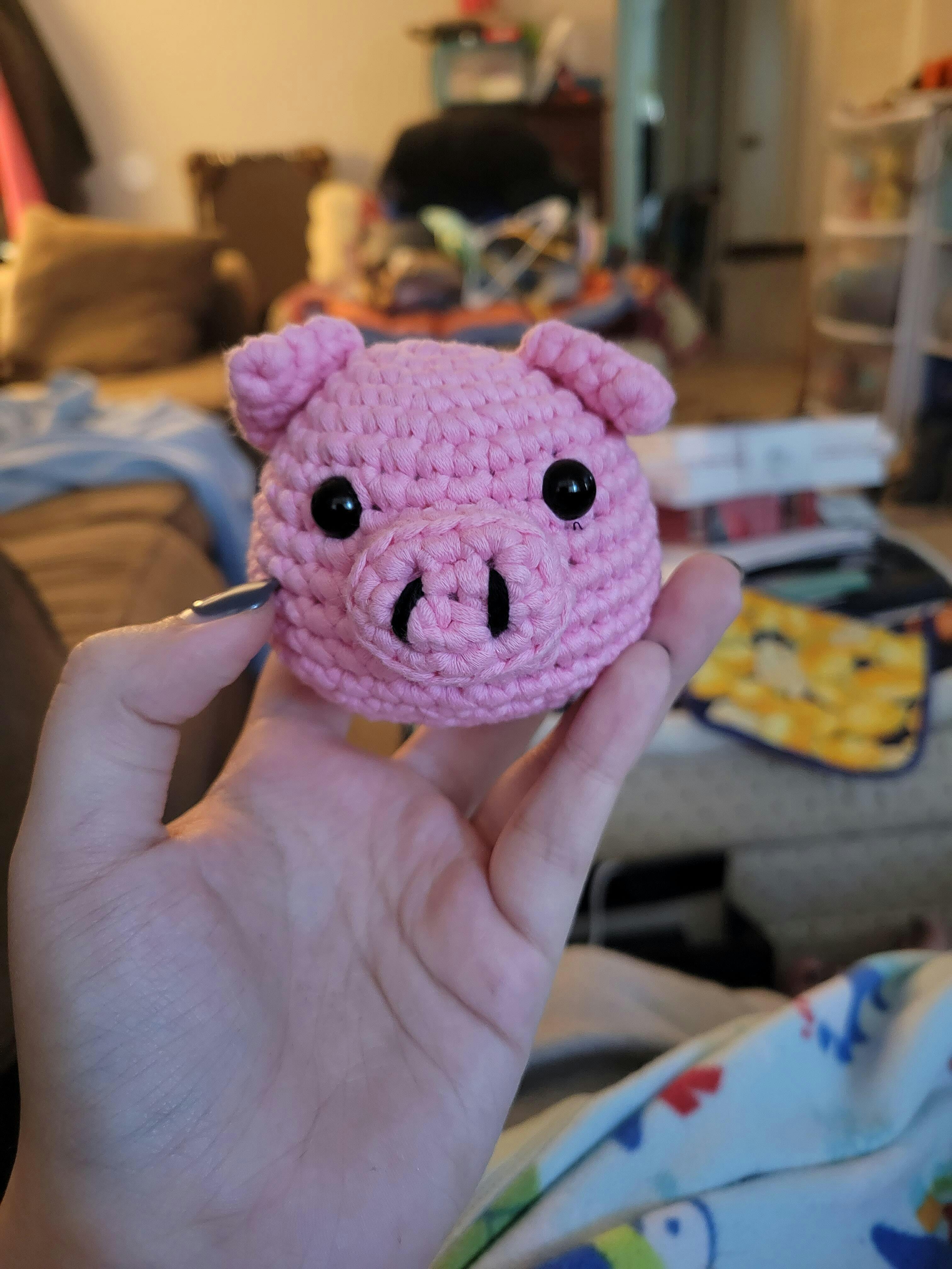 Pig Crochet Kit for Beginners | The Woobles