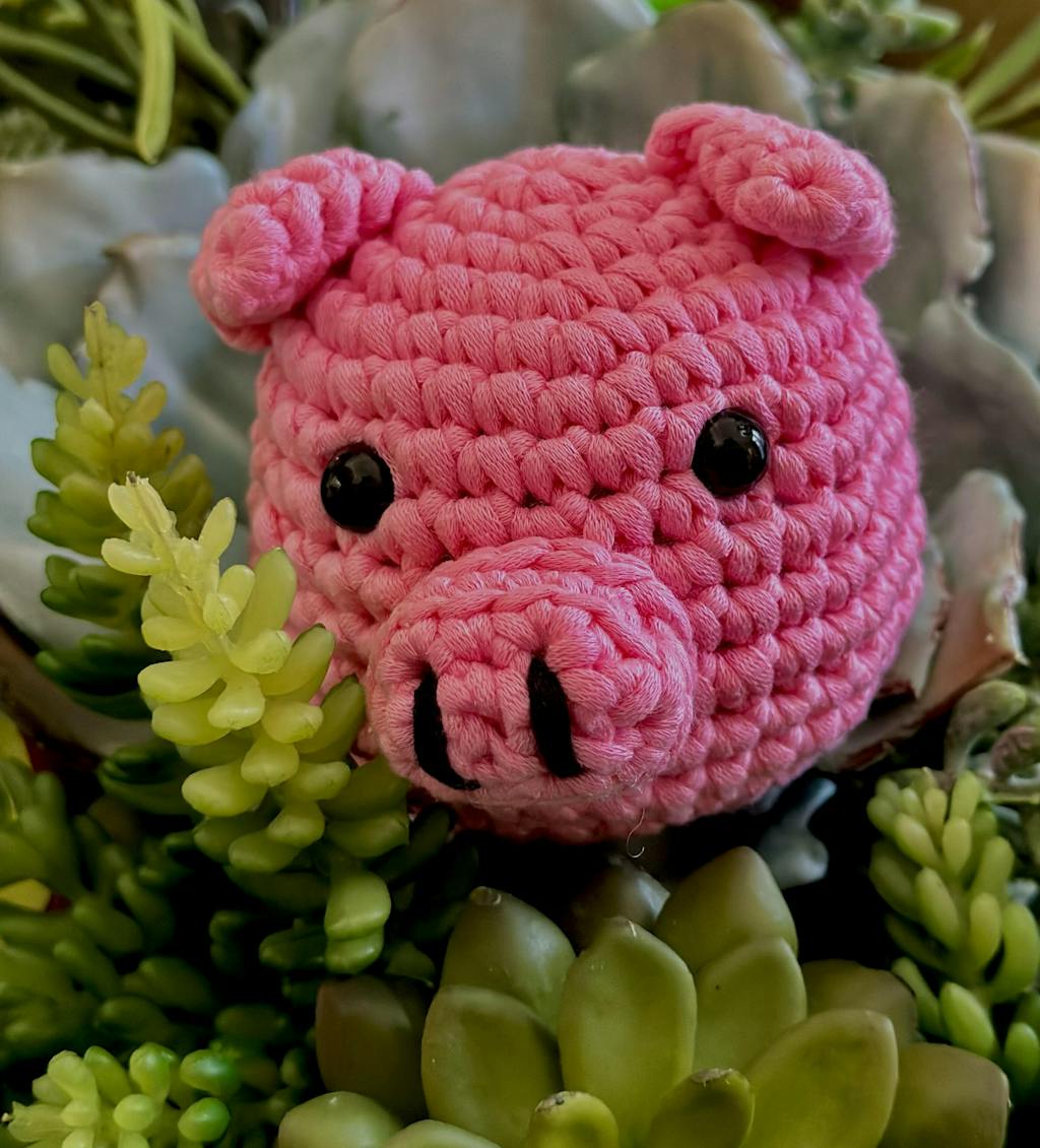 Pig Crochet Kit for Beginners | The Woobles