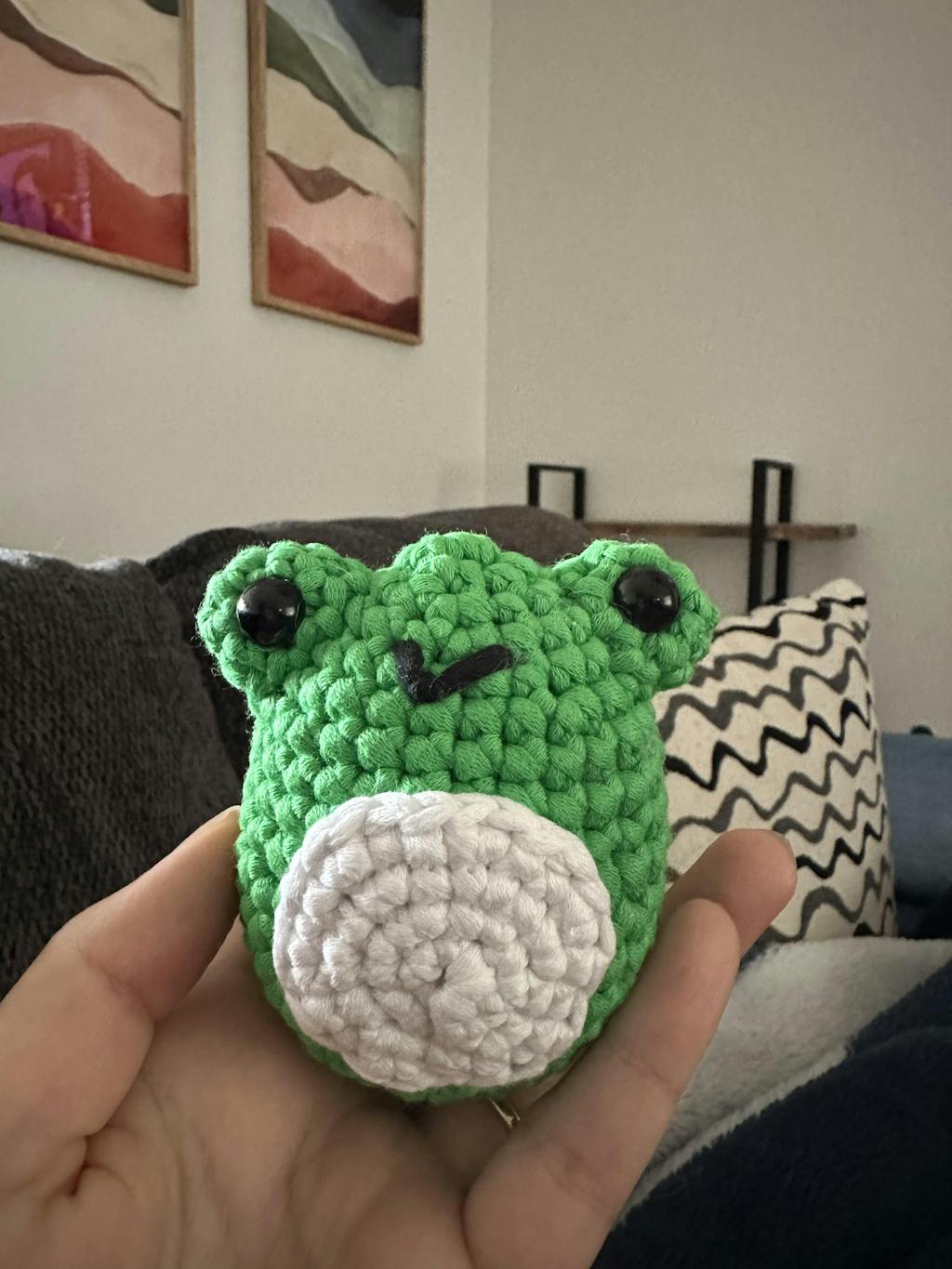 Frog Crochet Kit | Learn to Crochet with The Woobles