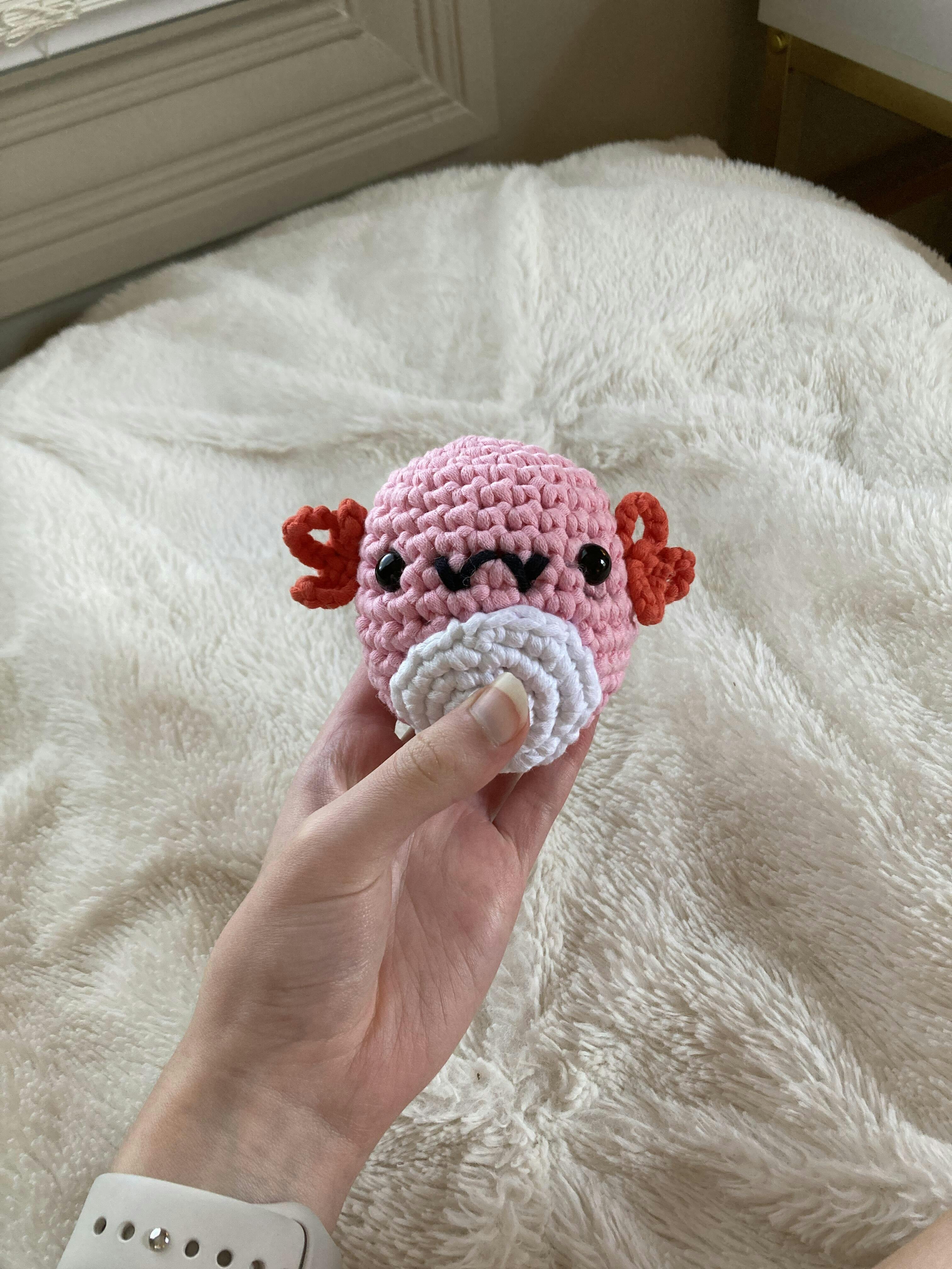 Limited Edition Axolotl Crochet Kit | The Woobles
