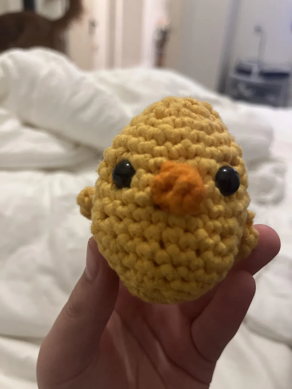 Chick Crochet Kit for Beginners | The Woobles