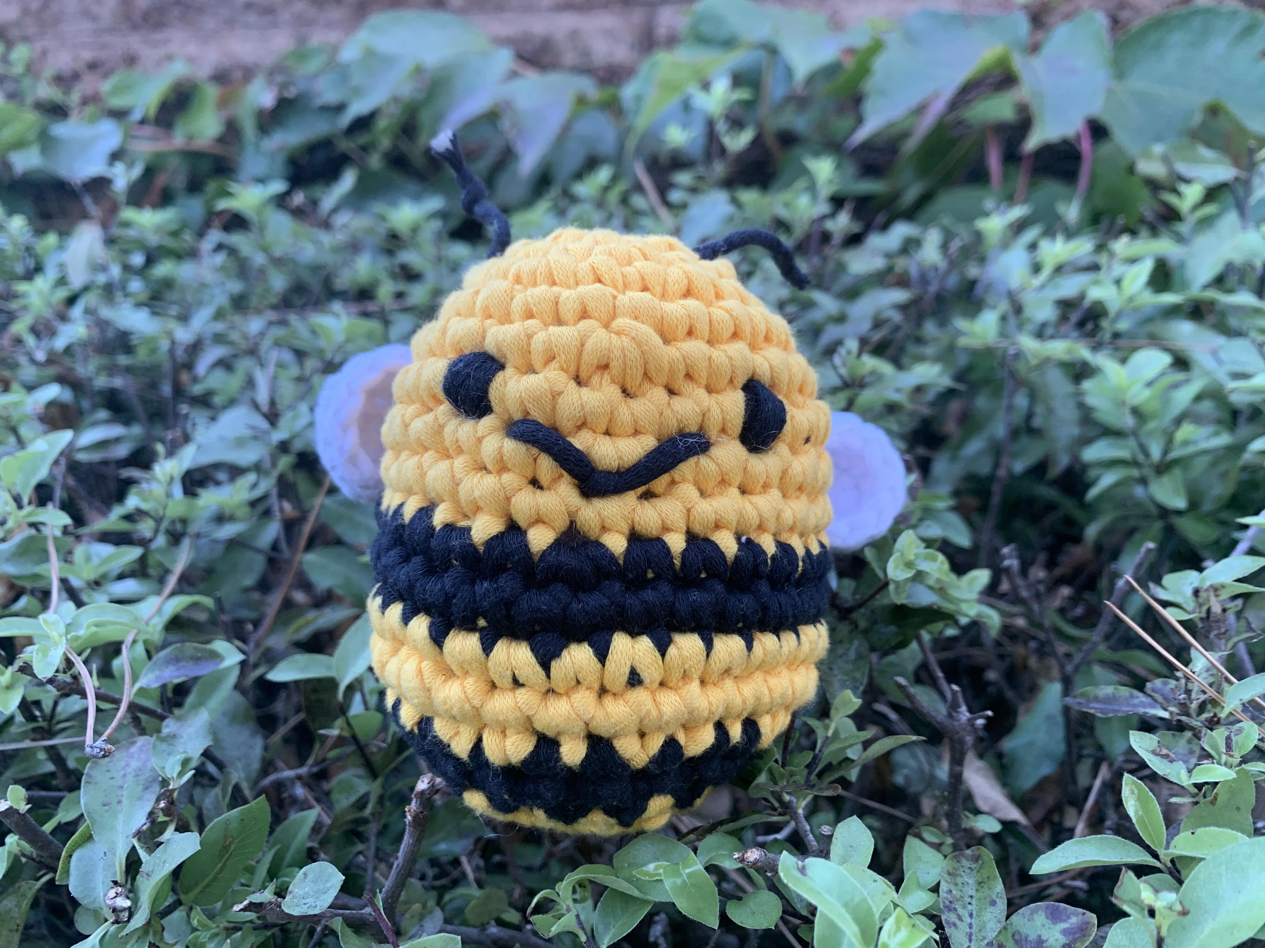 Bee Crochet Kit for Beginners | The Woobles