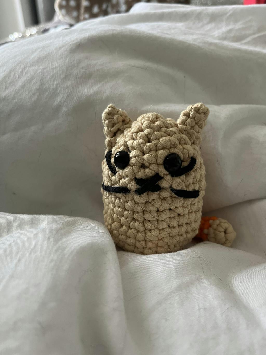 Cat Crochet Kit for Beginners | The Woobles