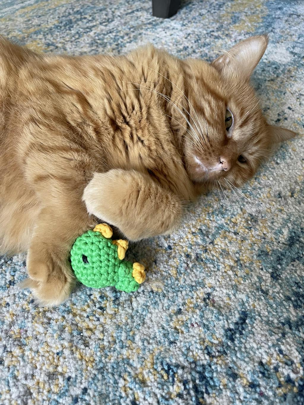 Wee Wittle Woobles Bundle | The Woobles