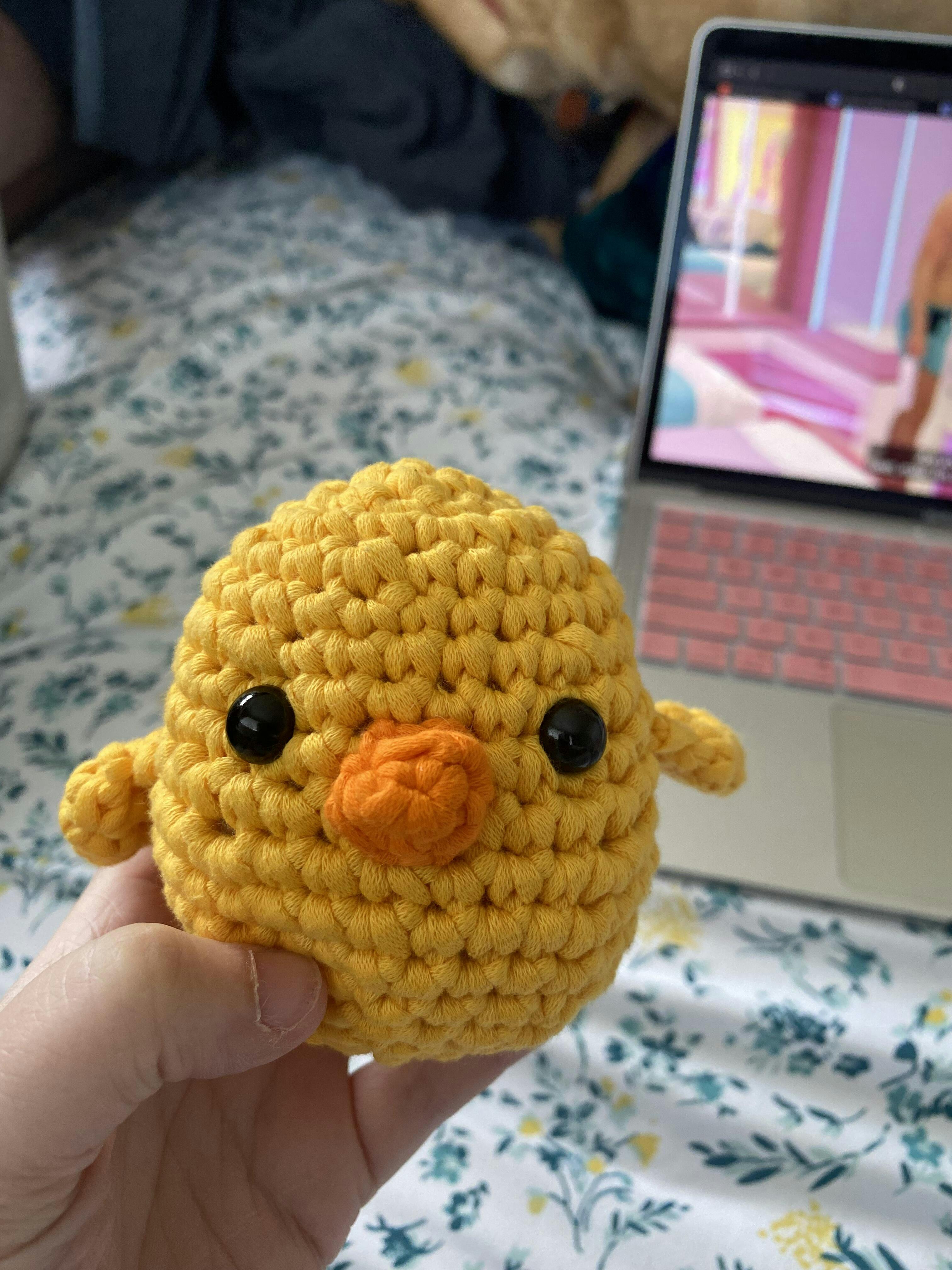Chick Crochet Kit for Beginners | The Woobles