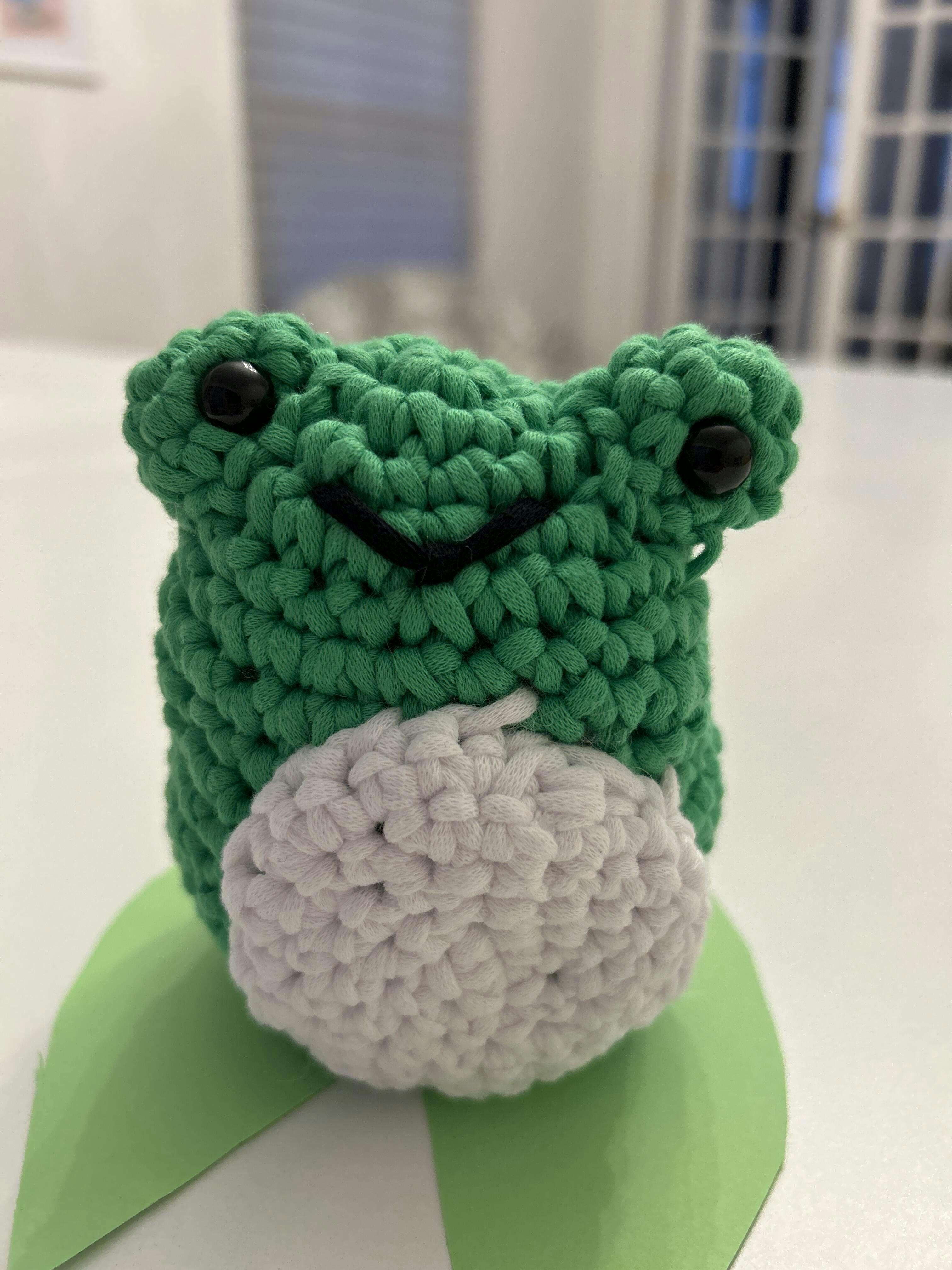 Frog Crochet Kit | Learn to Crochet with The Woobles