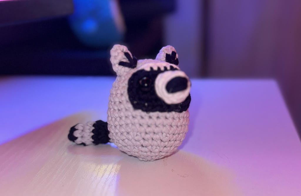 Raccoon Crochet Kit for Beginners | The Woobles