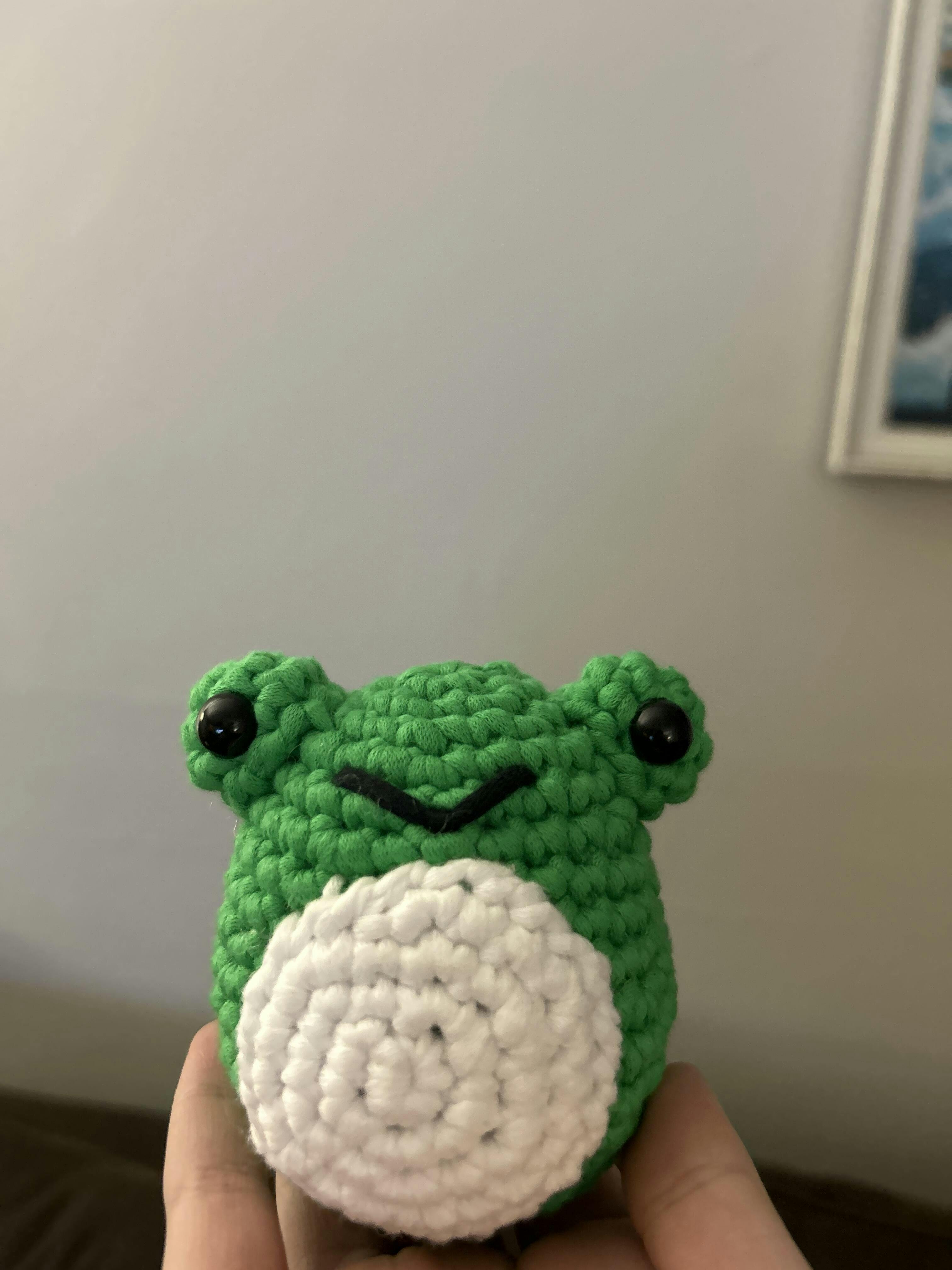 Frog Crochet Kit | Learn to Crochet with The Woobles