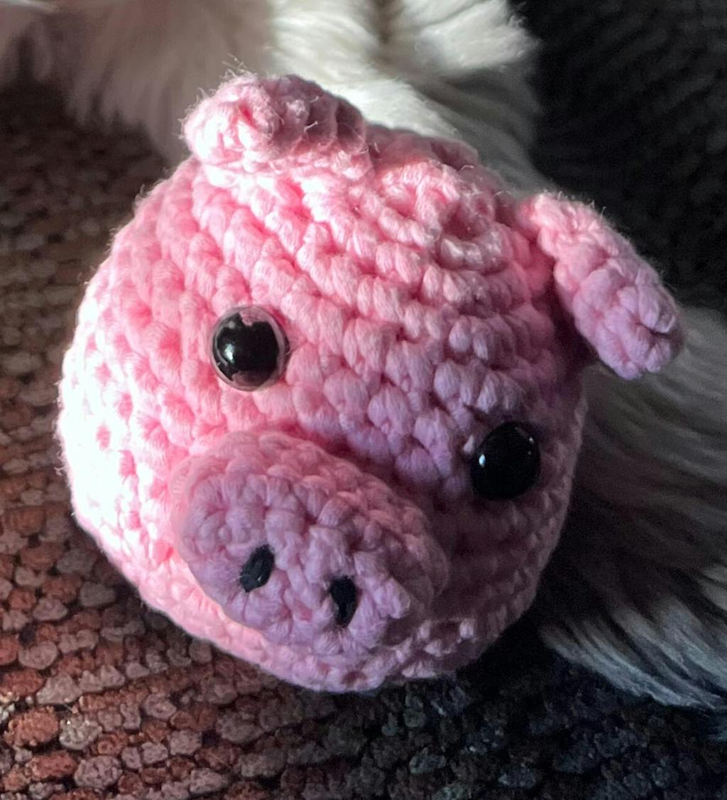 Pig Crochet Kit for Beginners | The Woobles