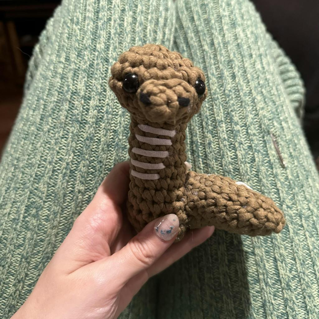 Slytherin™ Serpent Crochet Kit for Beginners | The Woobles