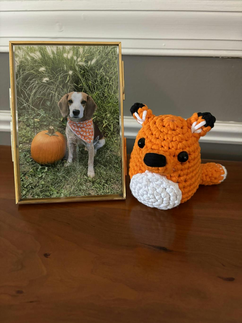 Fox Crochet Kit for Beginners | The Woobles