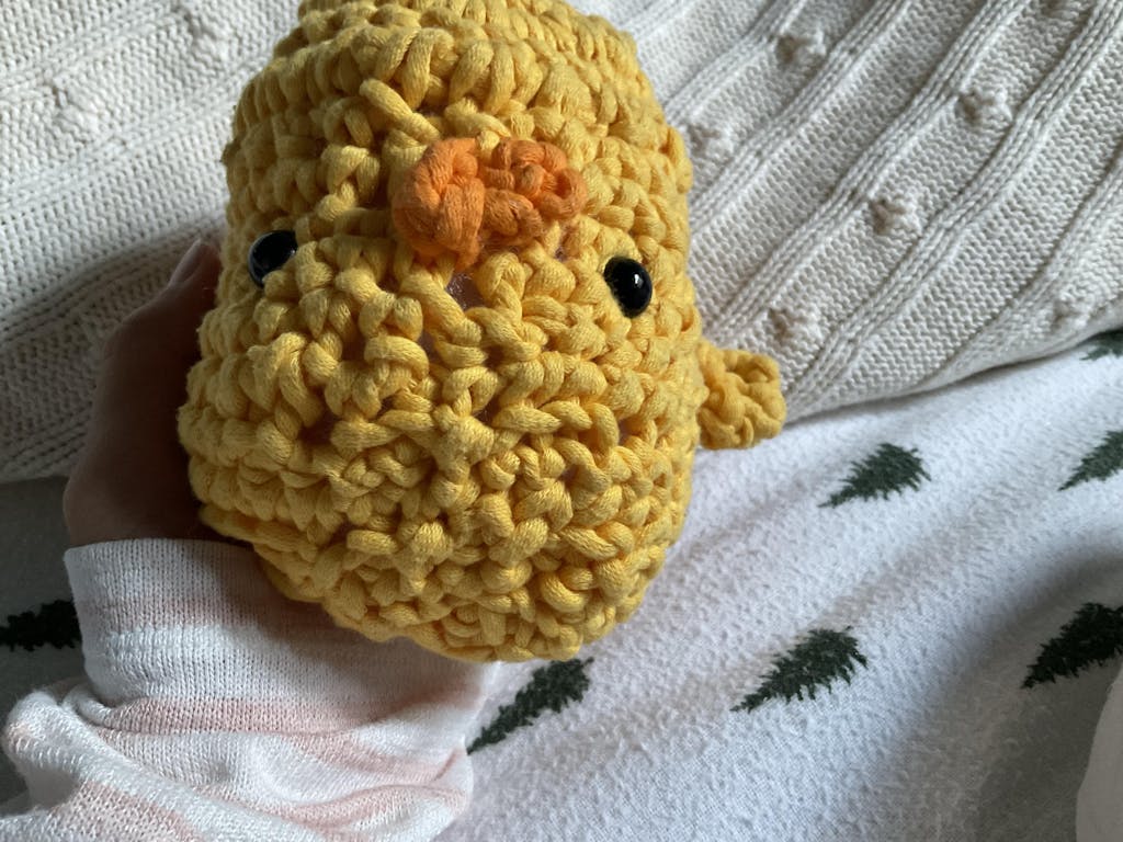 Chick Crochet Kit for Beginners | The Woobles