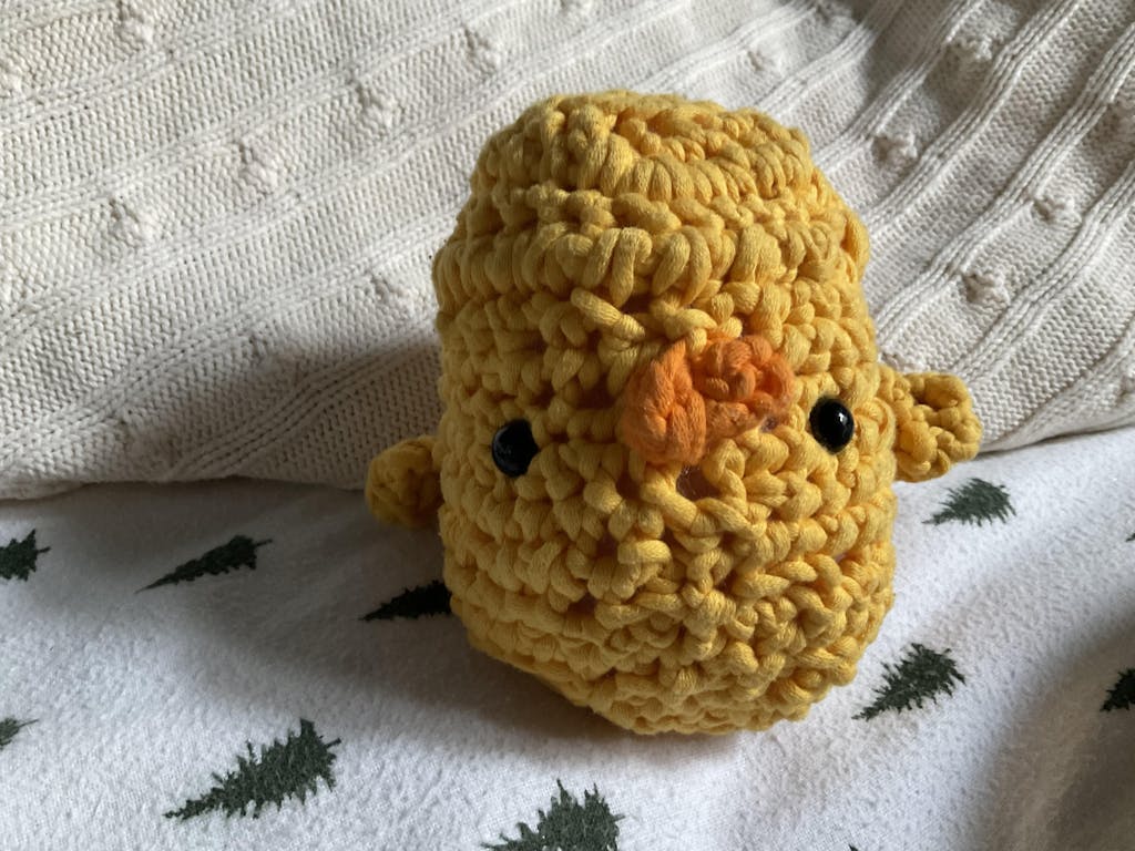 Chick Crochet Kit for Beginners | The Woobles