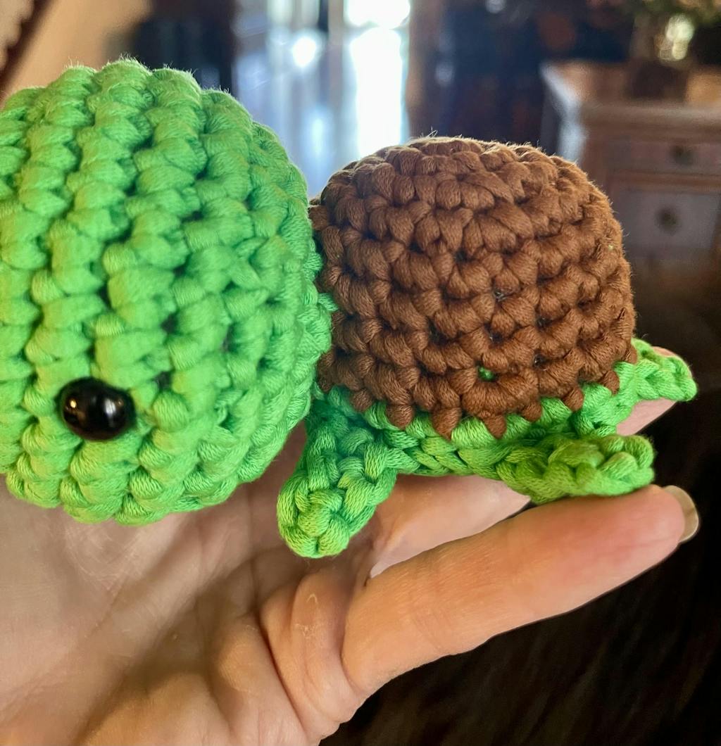 Turtle Crochet Kit | The Woobles