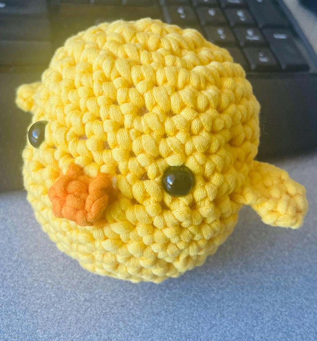 Chick Crochet Kit for Beginners | The Woobles