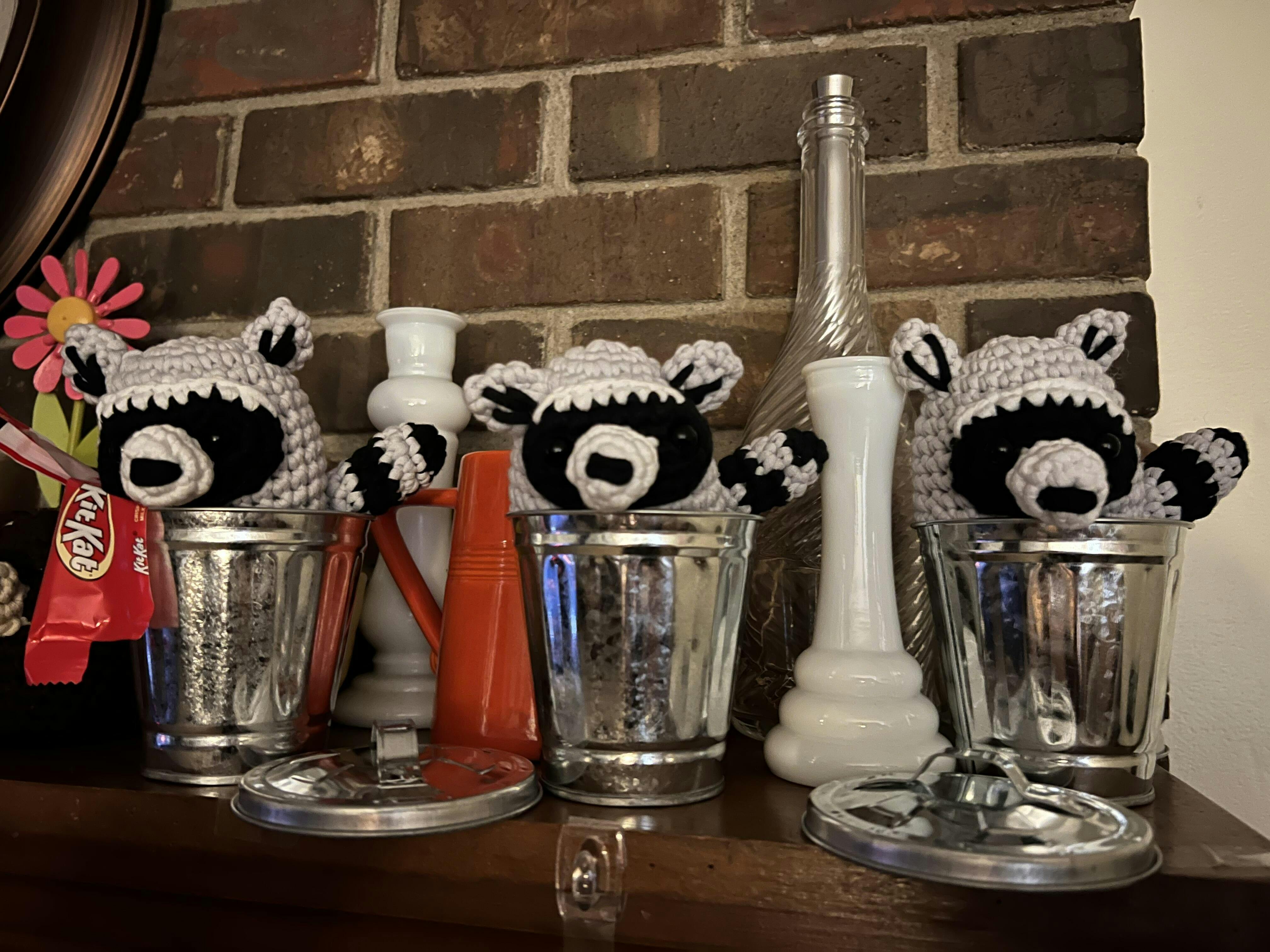 Raccoon Crochet Kit for Beginners | The Woobles