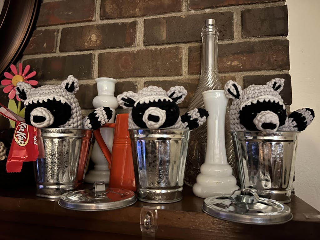 Raccoon Crochet Kit for Beginners | The Woobles