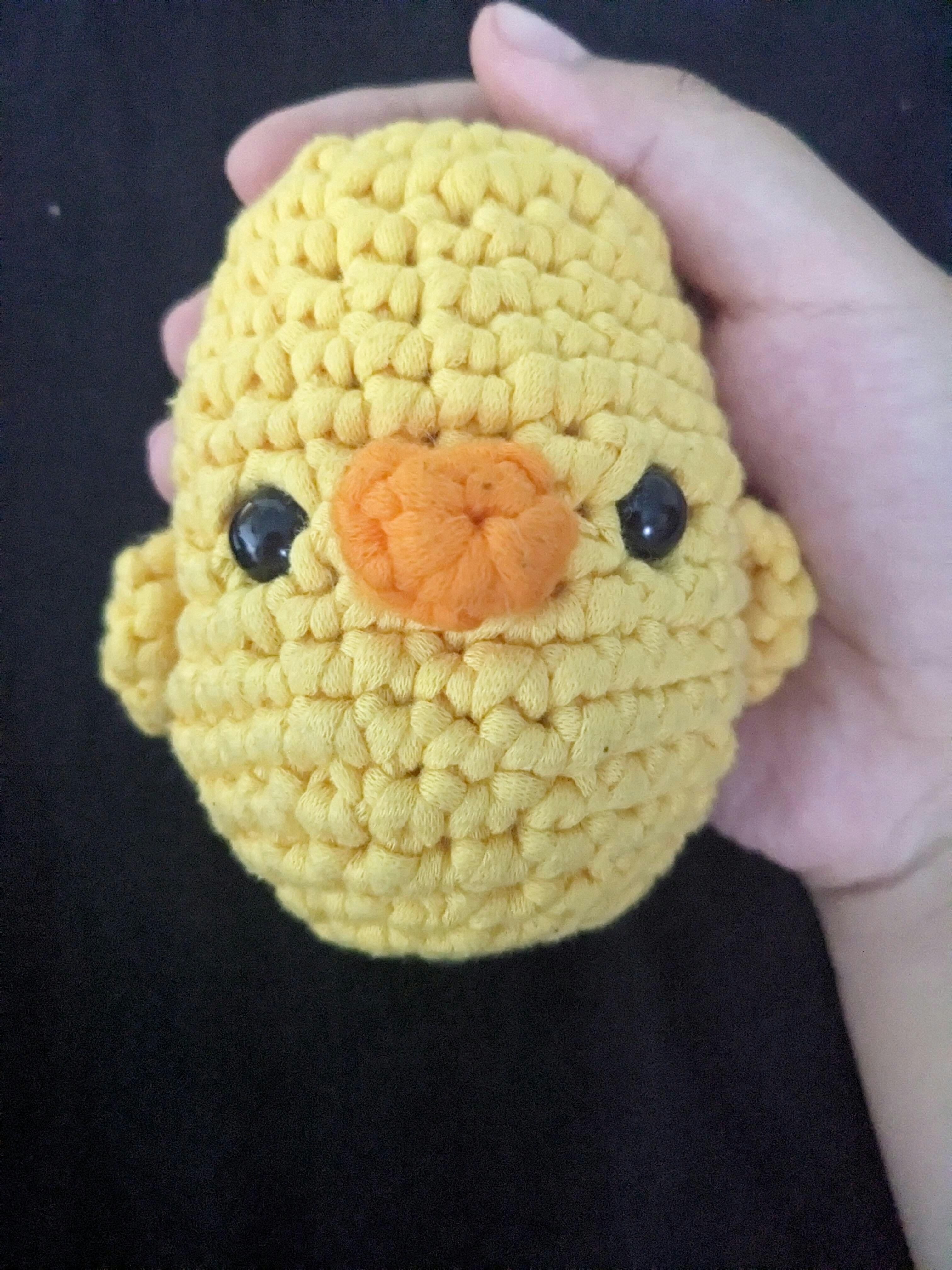Chick Crochet Kit for Beginners | The Woobles