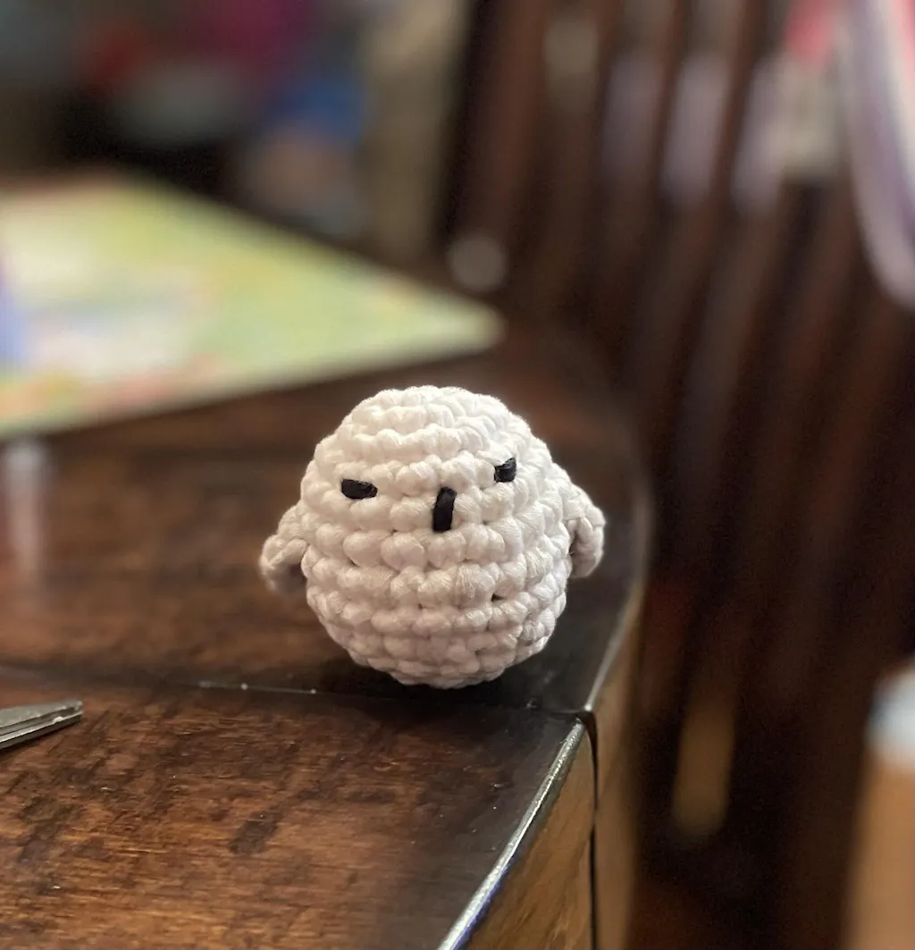 Harry Potter™ and Hedwig™ Bundle for Beginners | The Woobles