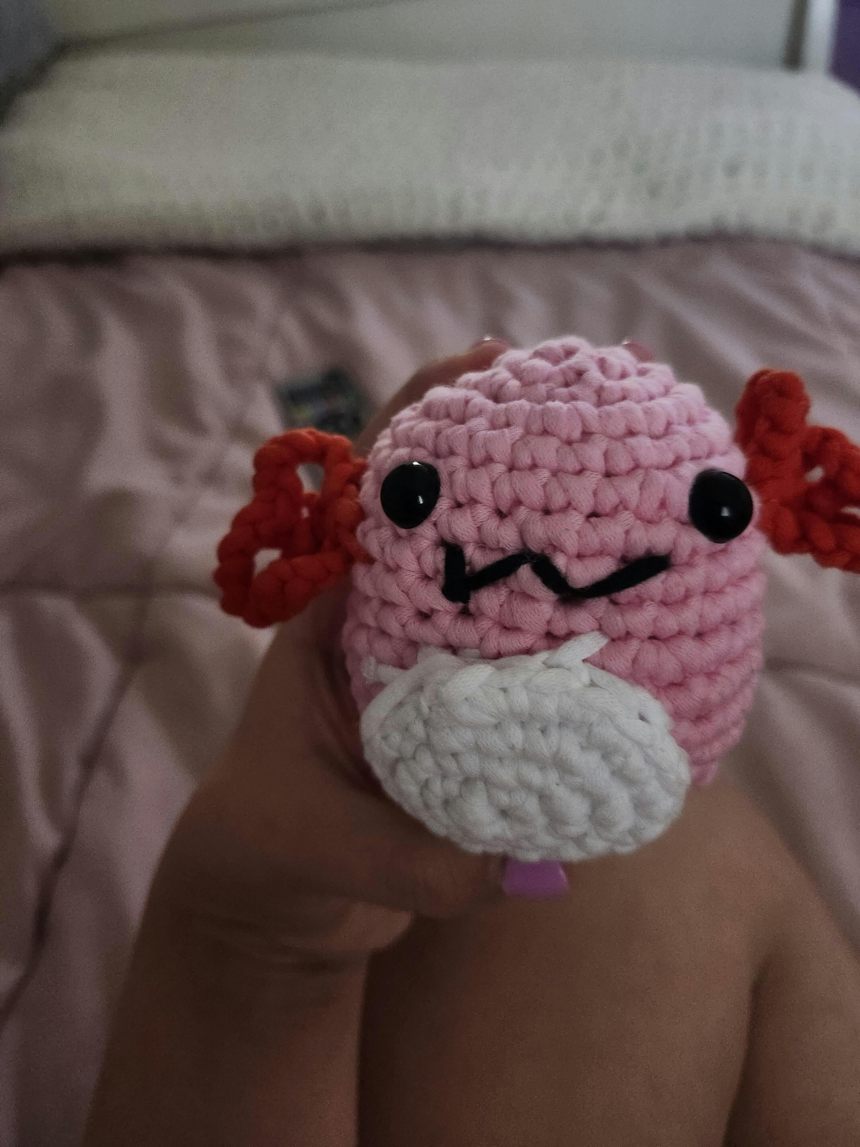 Limited Edition Axolotl Crochet Kit | The Woobles