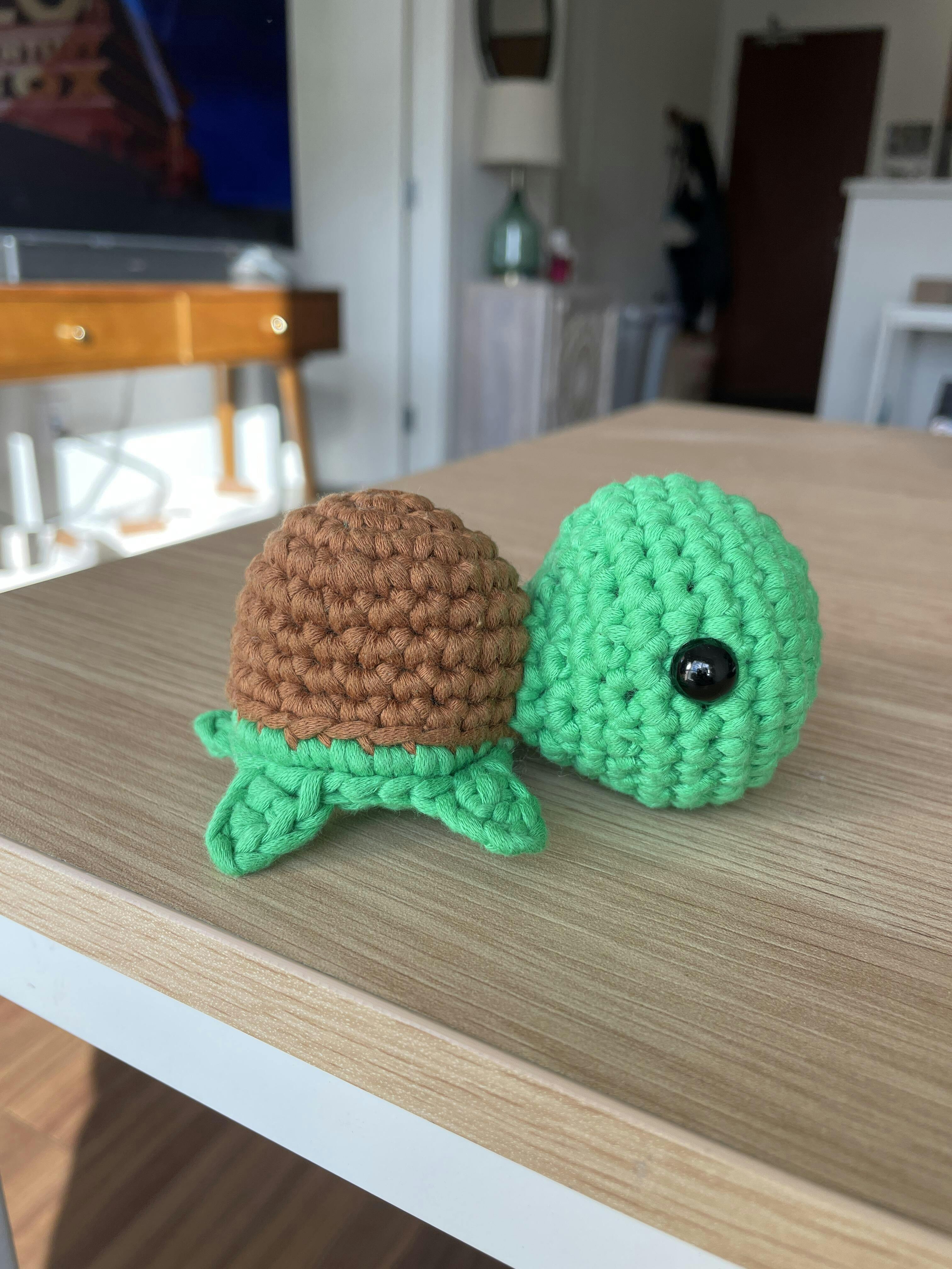 Turtle Crochet Kit | The Woobles