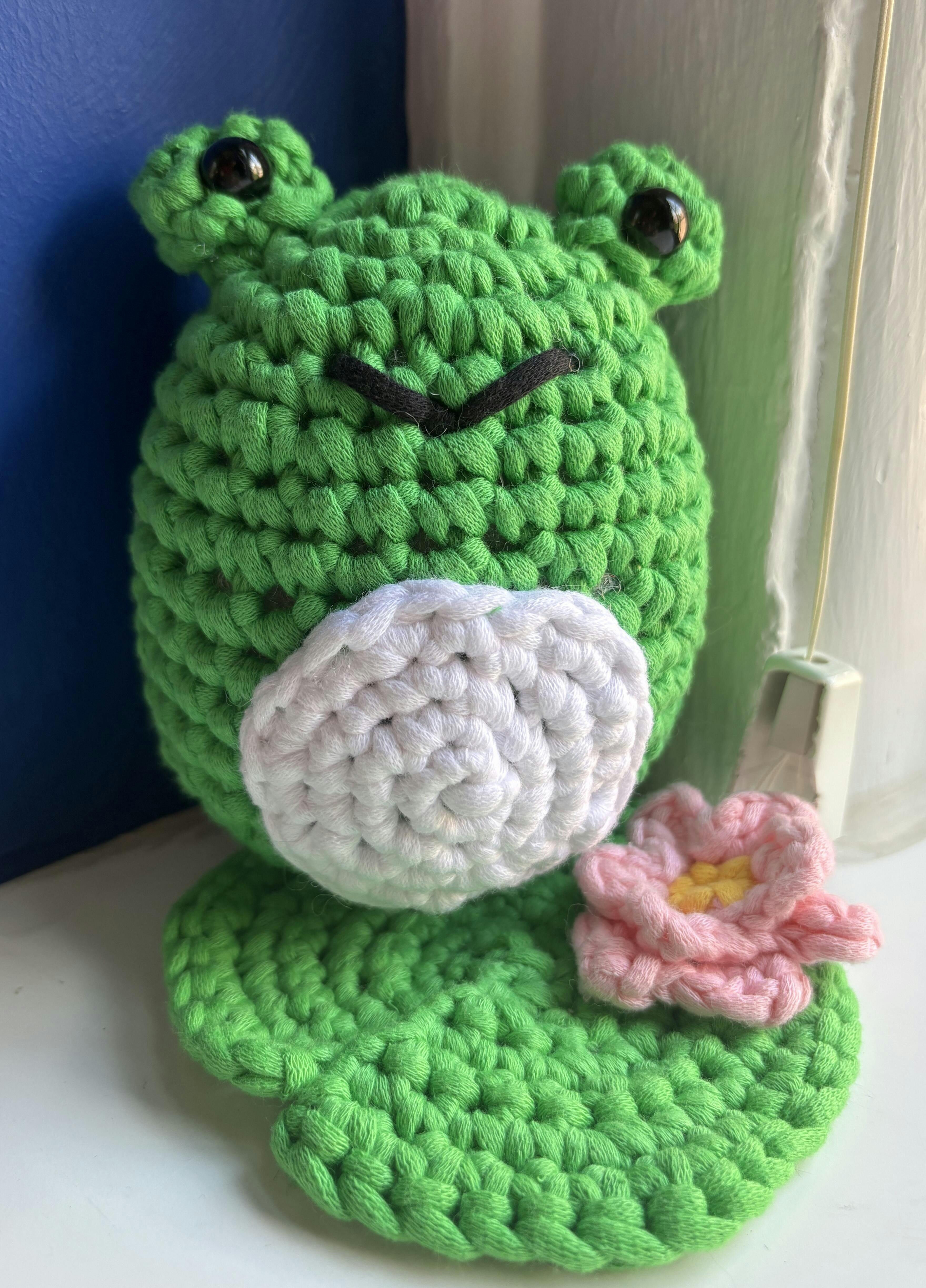 Frog Crochet Kit | Learn to Crochet with The Woobles