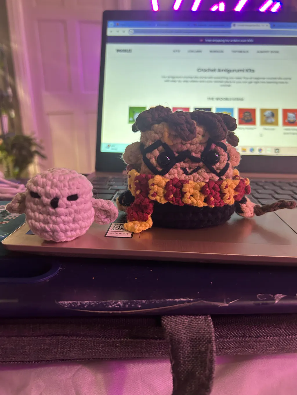 Harry Potter™ and Hedwig™ Bundle for Beginners | The Woobles