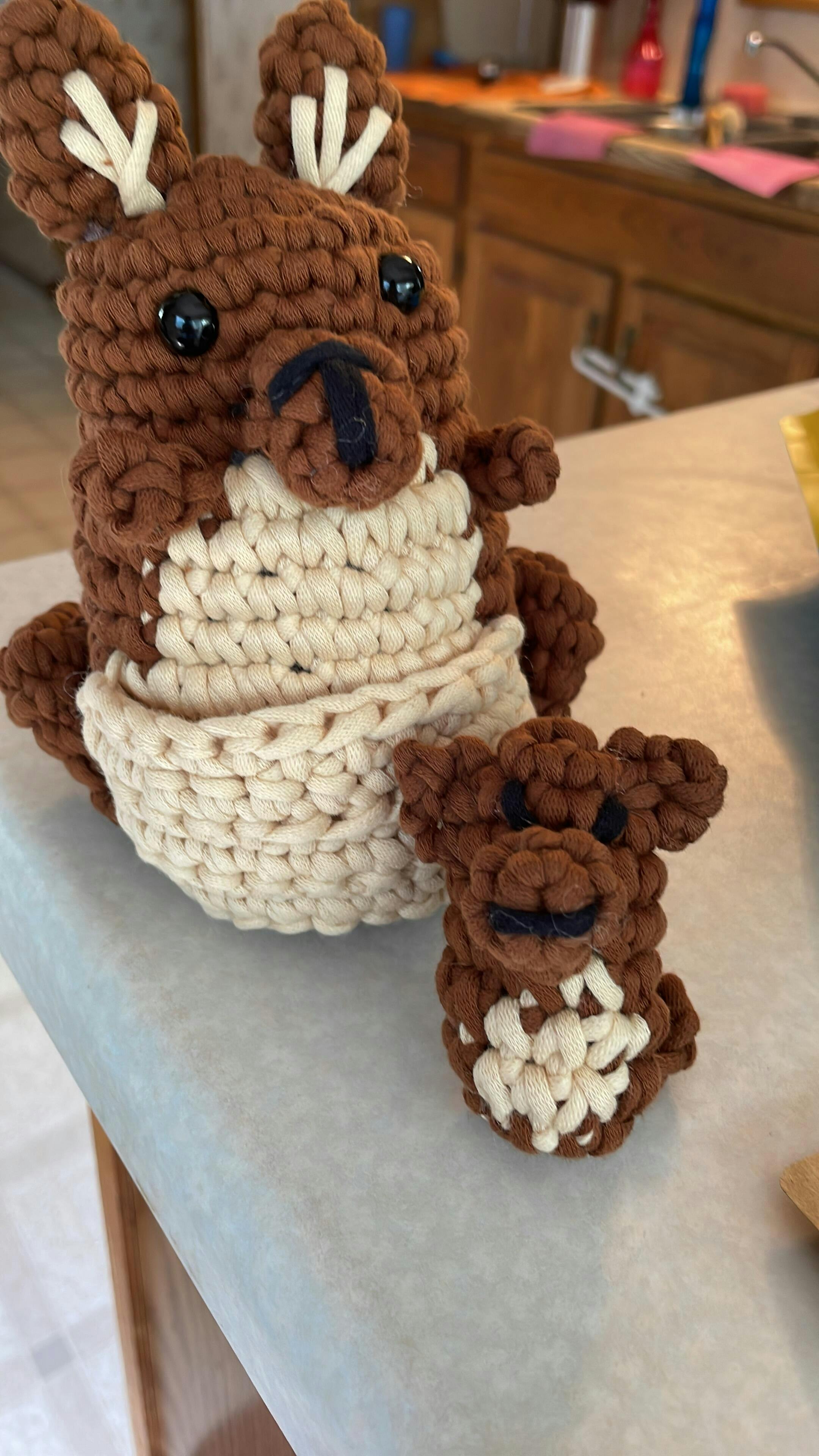 Pig Crochet Kit for Beginners | The Woobles