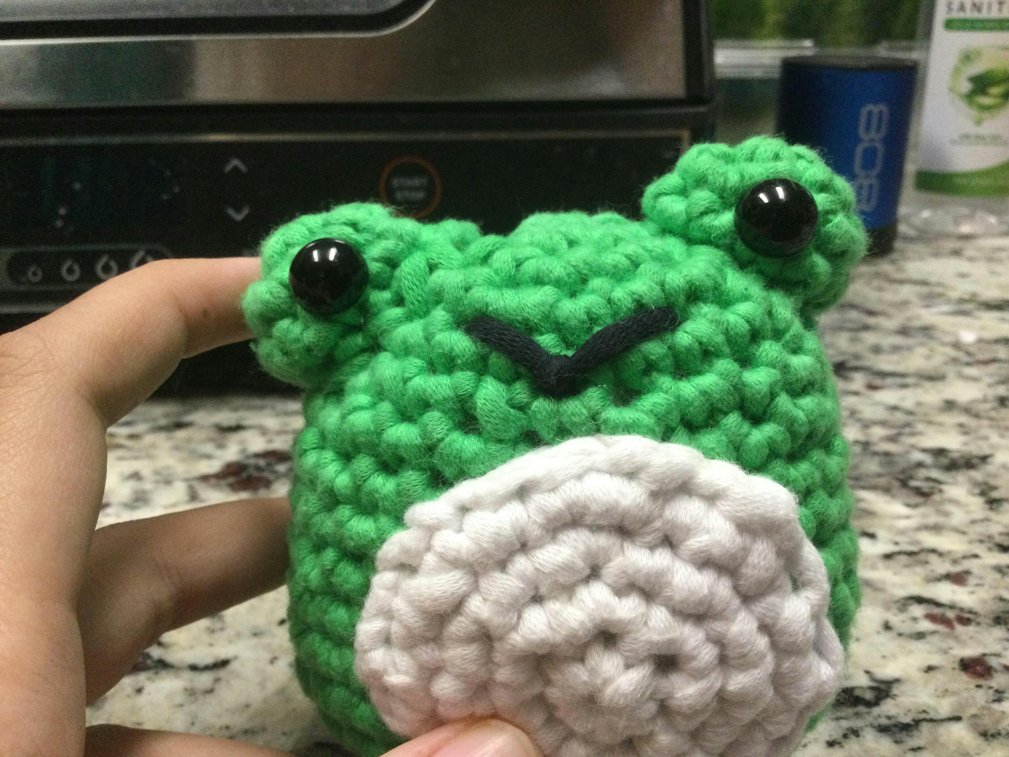 Frog Crochet Kit | Learn to Crochet with The Woobles
