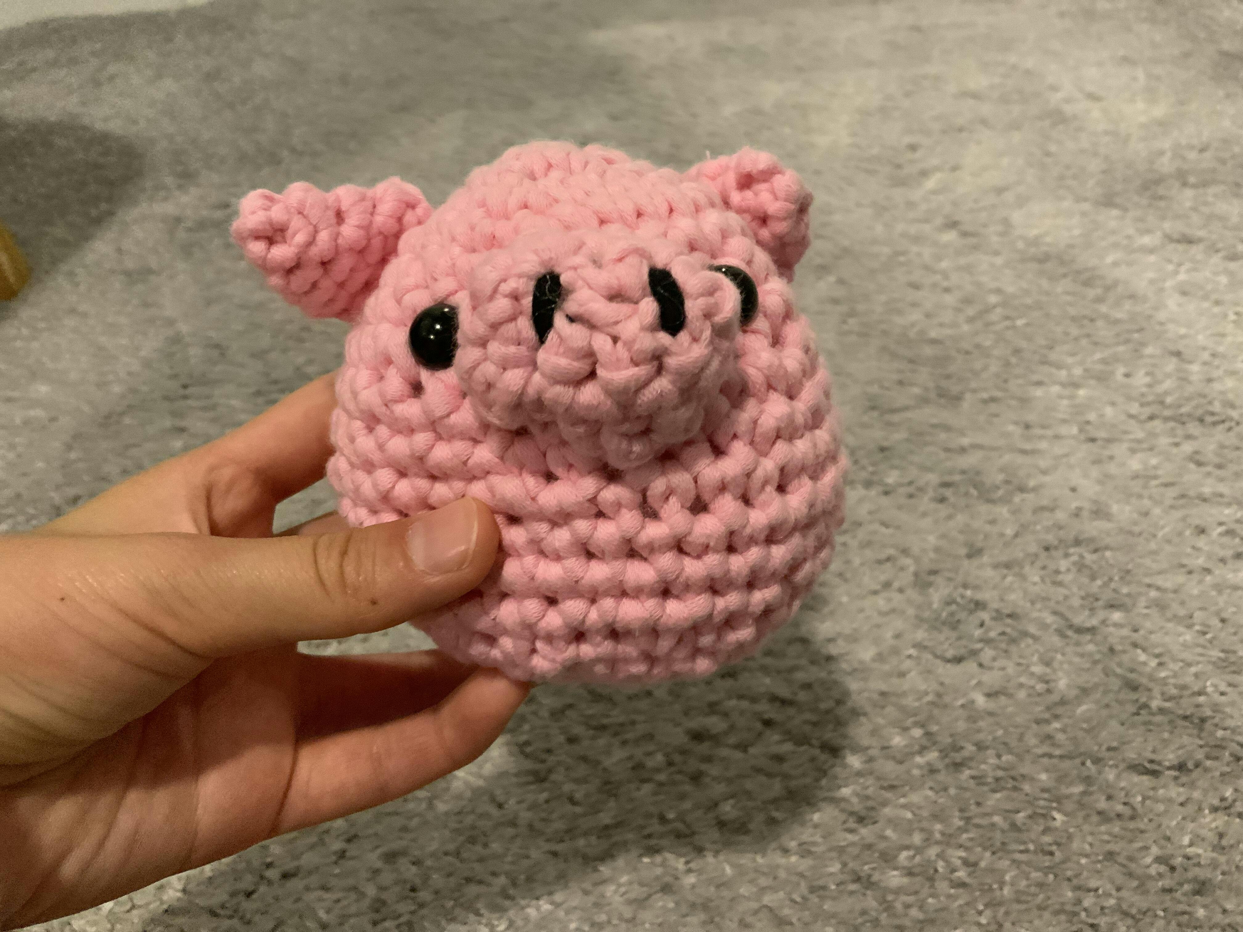 Pig Crochet Kit for Beginners | The Woobles