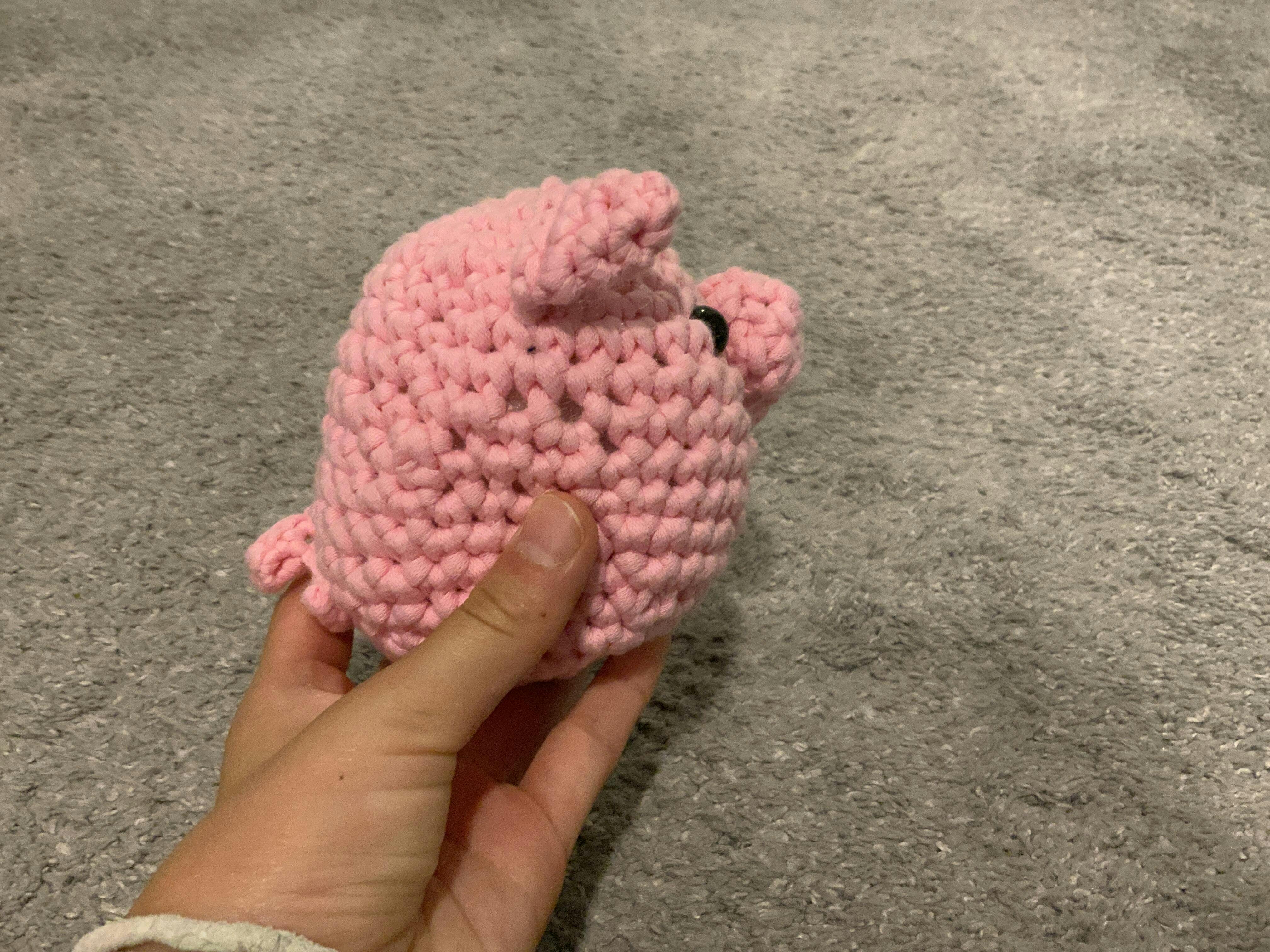 Pig Crochet Kit for Beginners | The Woobles