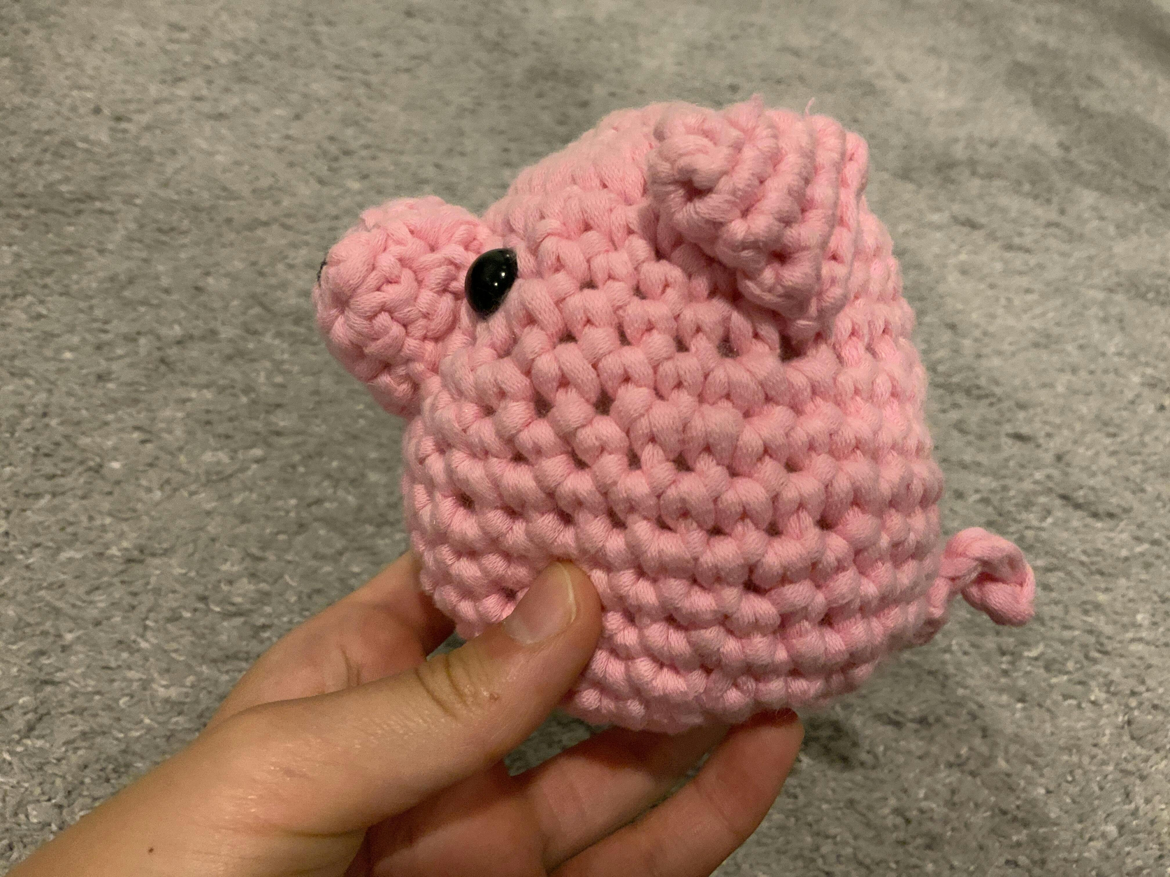 Pig Crochet Kit for Beginners | The Woobles