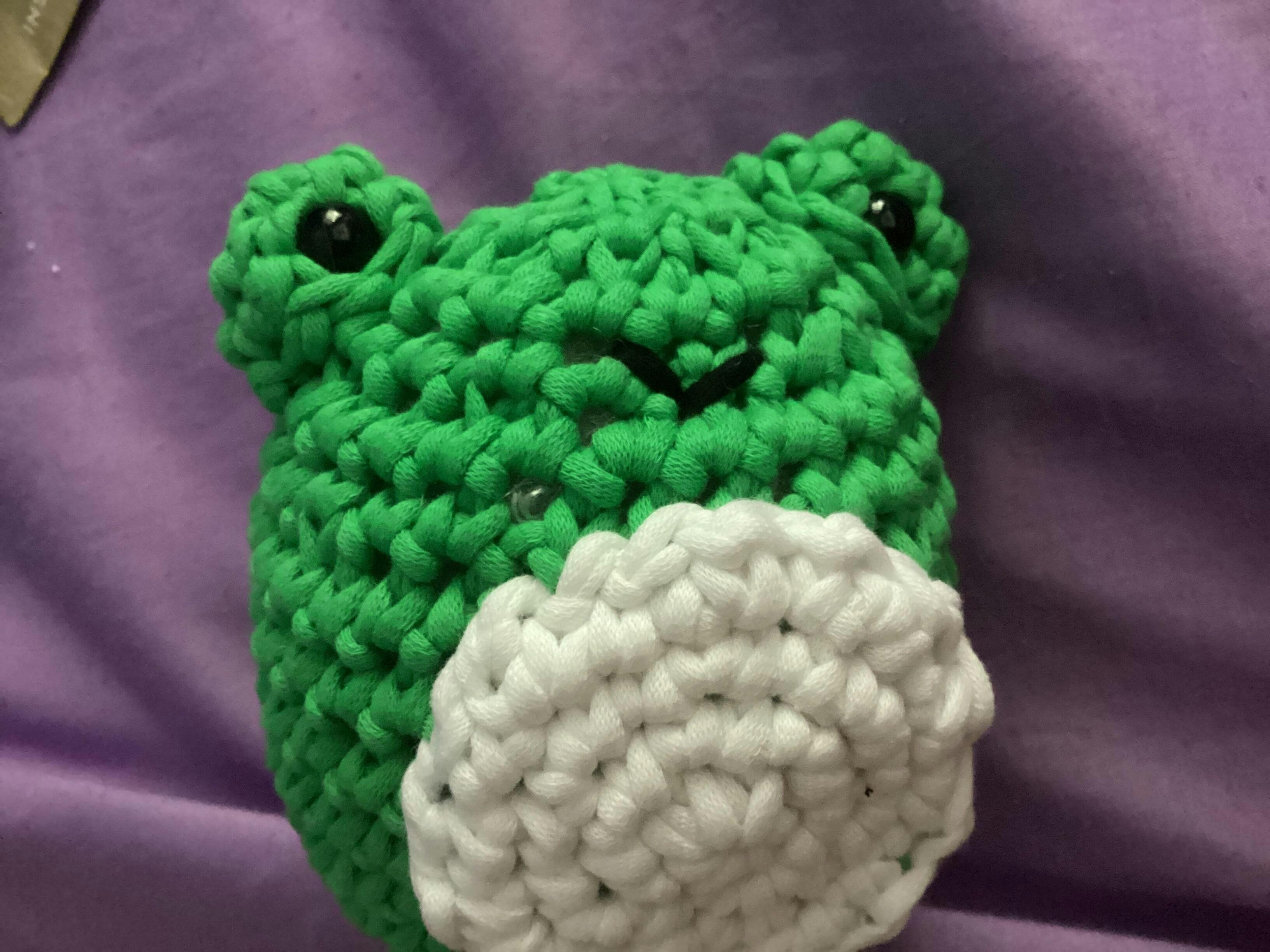 Frog Crochet Kit | Learn to Crochet with The Woobles