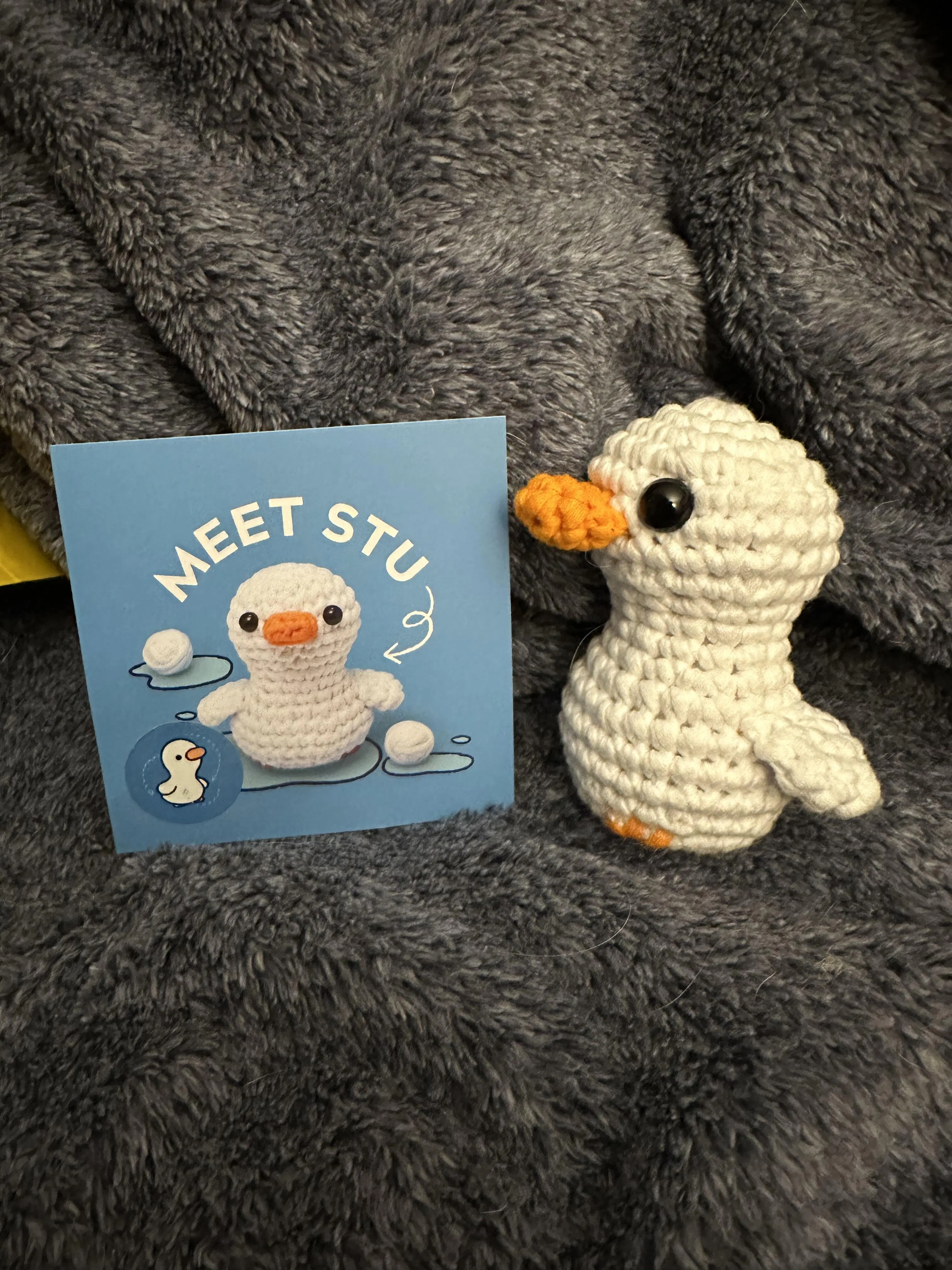 Goose Crochet Kit | The Woobles